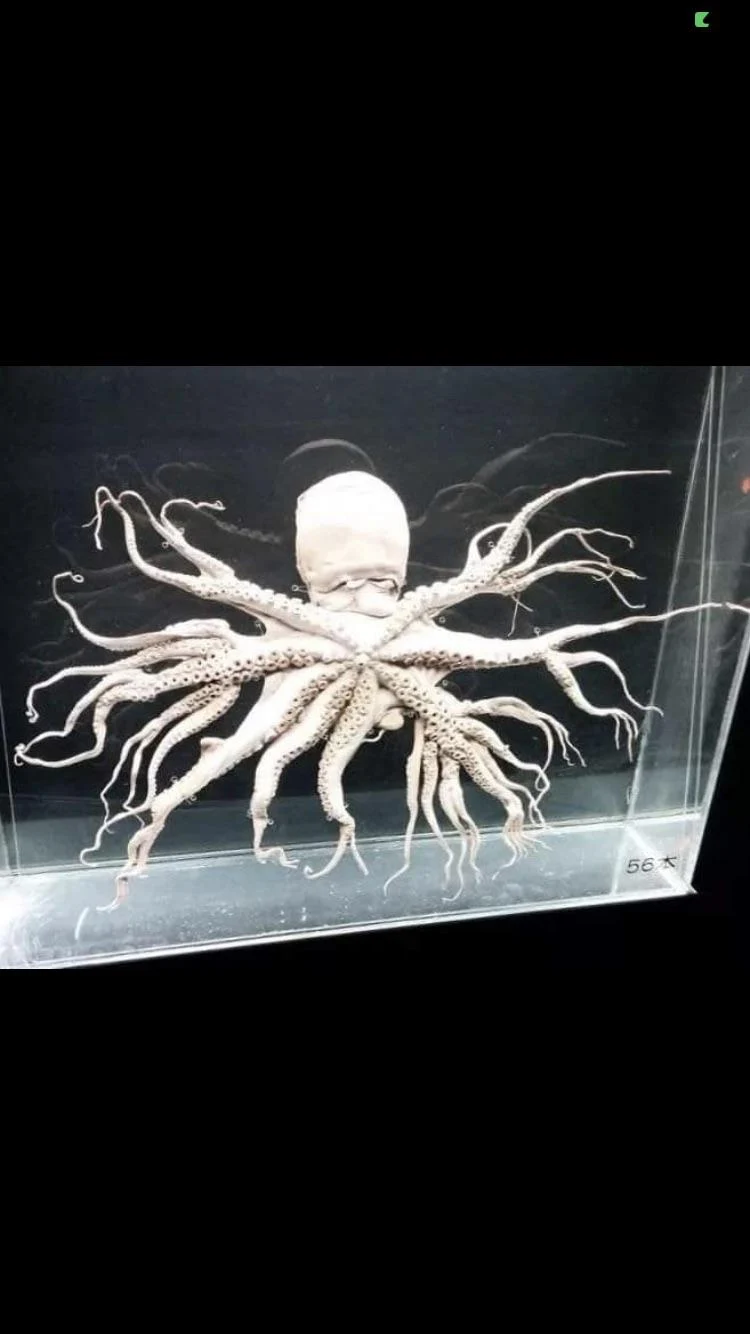 Real life water devil | Scrolller