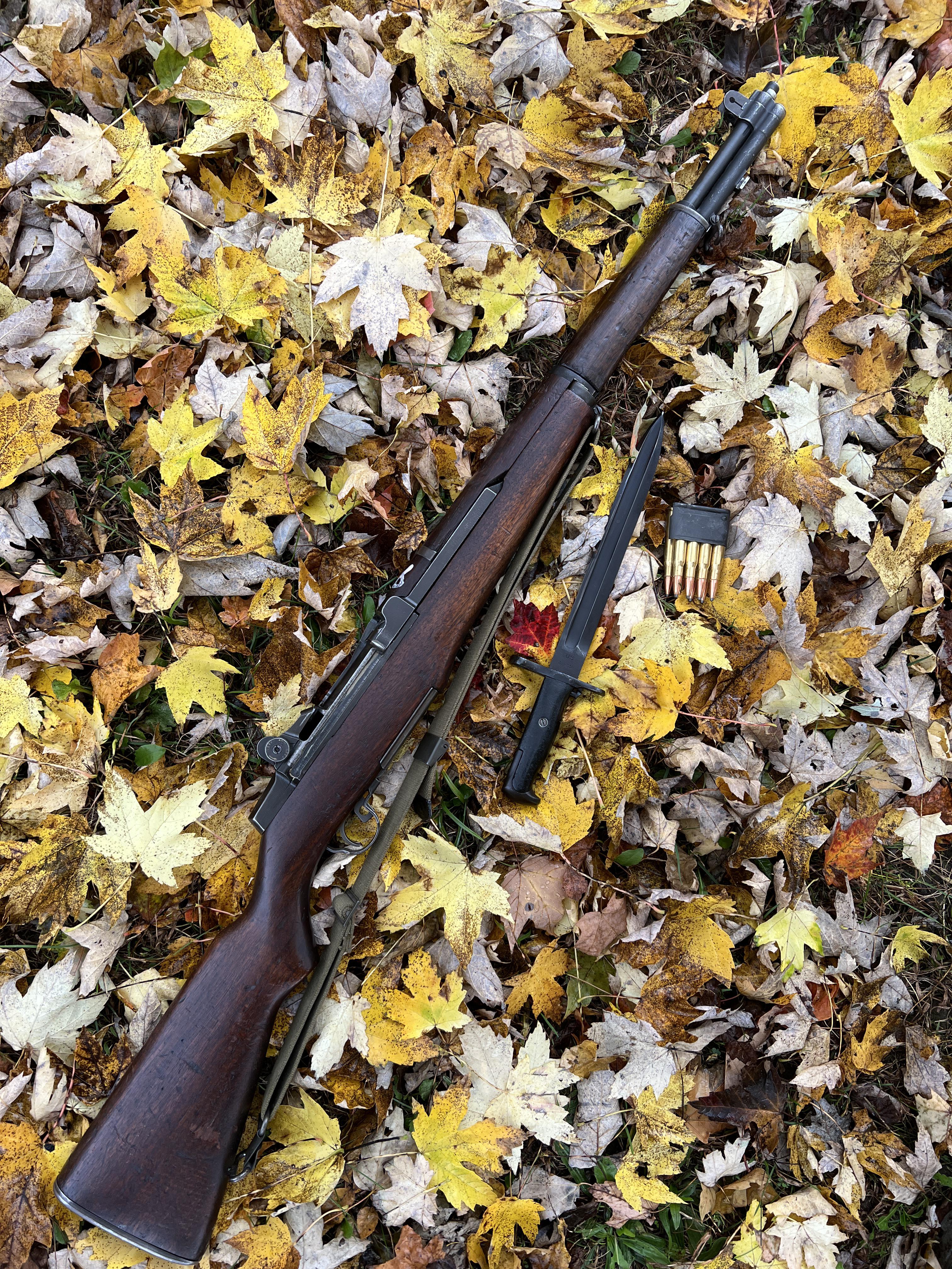 M1 Garand | Scrolller