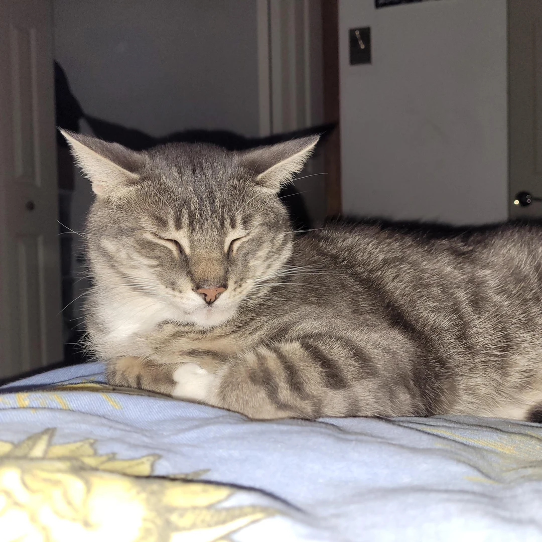 polite loaf | Scrolller