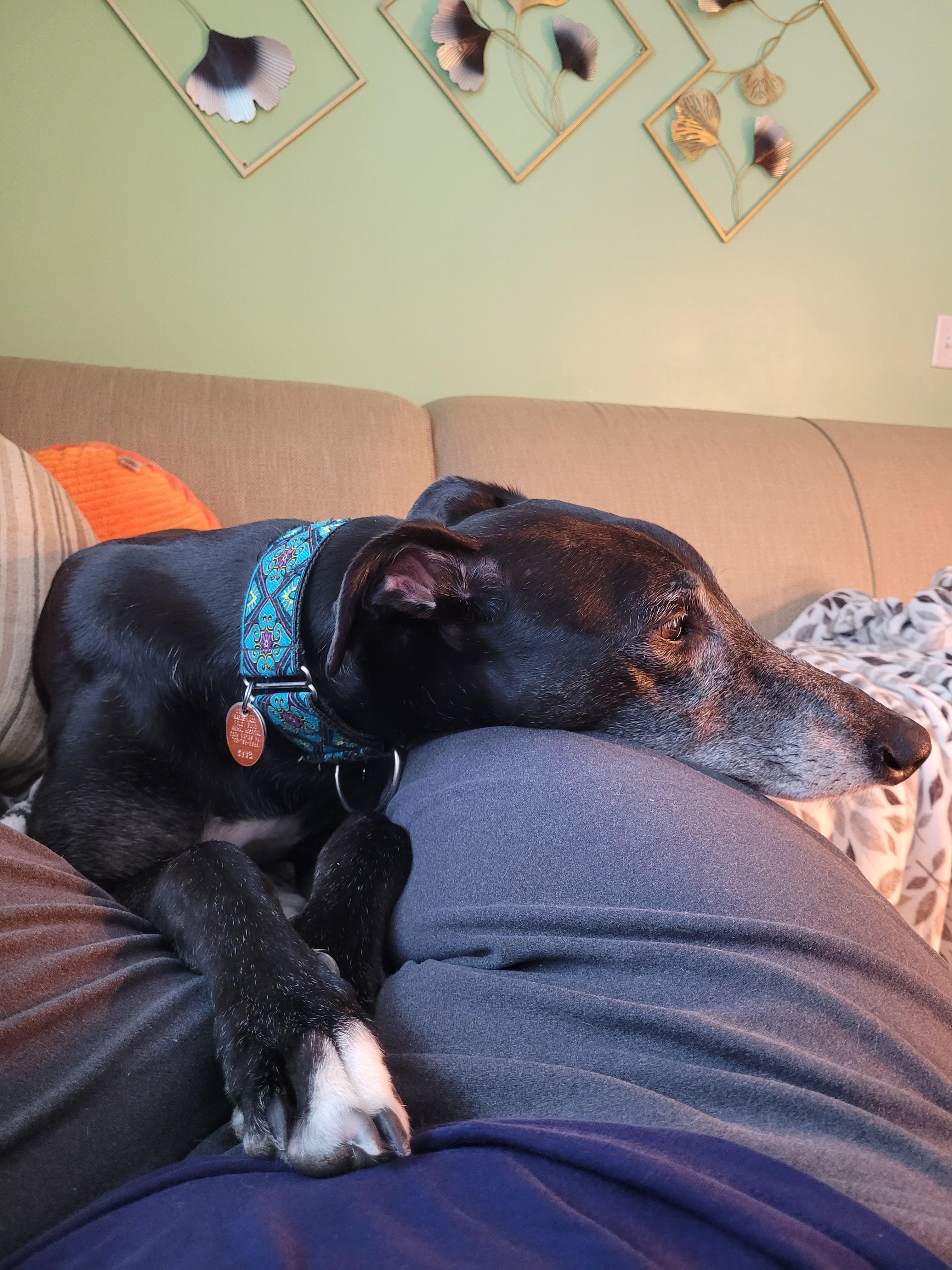 Racing Injury | Scrolller