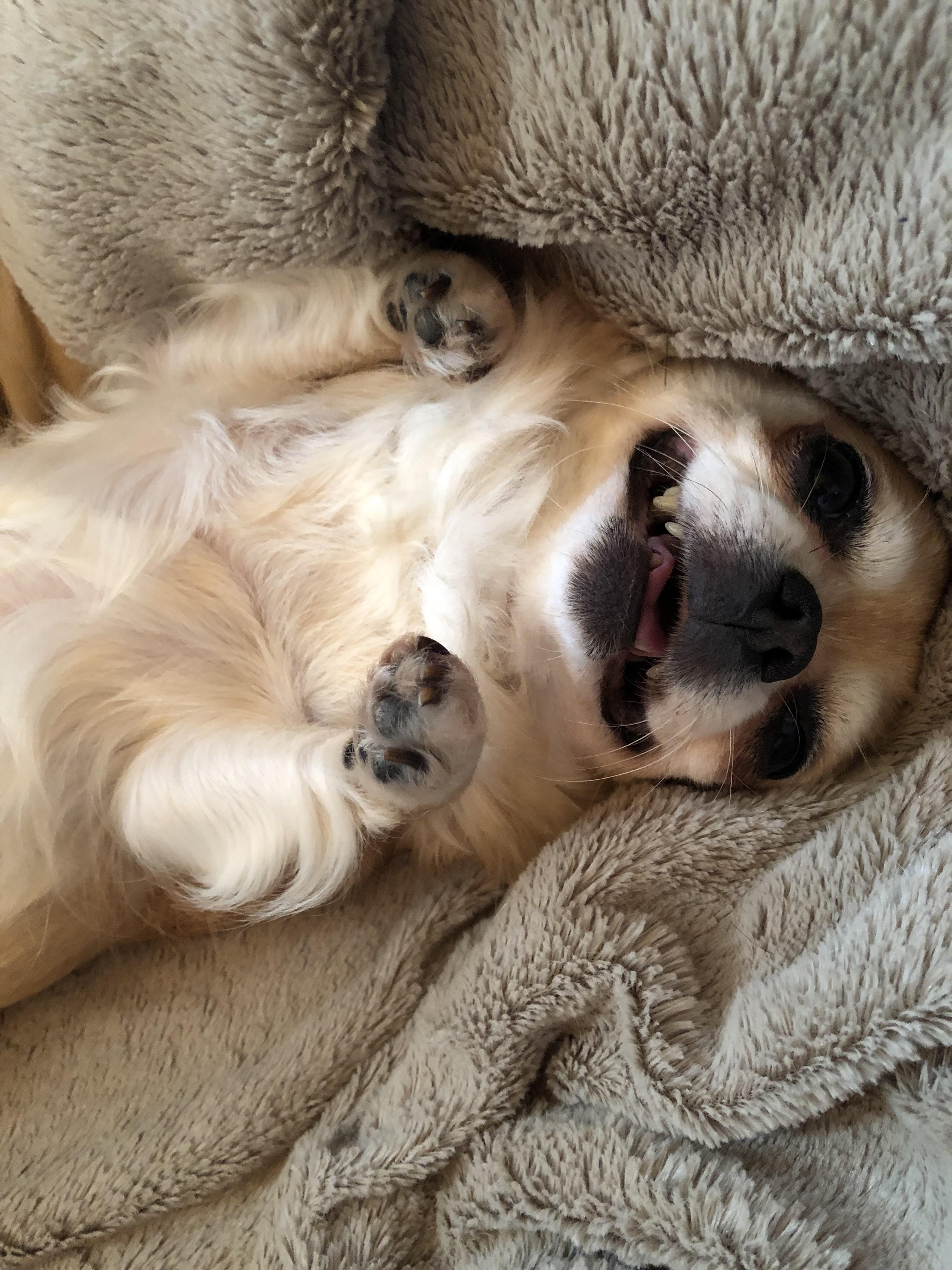 Silly goose🥰 | Scrolller