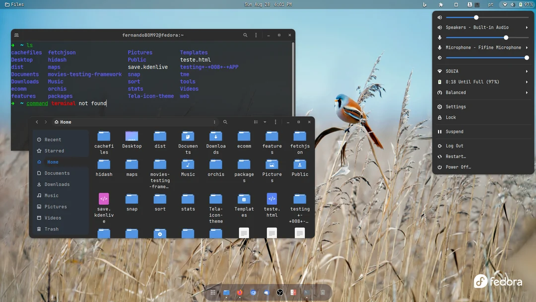 [Fedora 36, GNOME, BING LIVE WALLPAPER AND ZSH] - Dude, I love it! | Scrolller