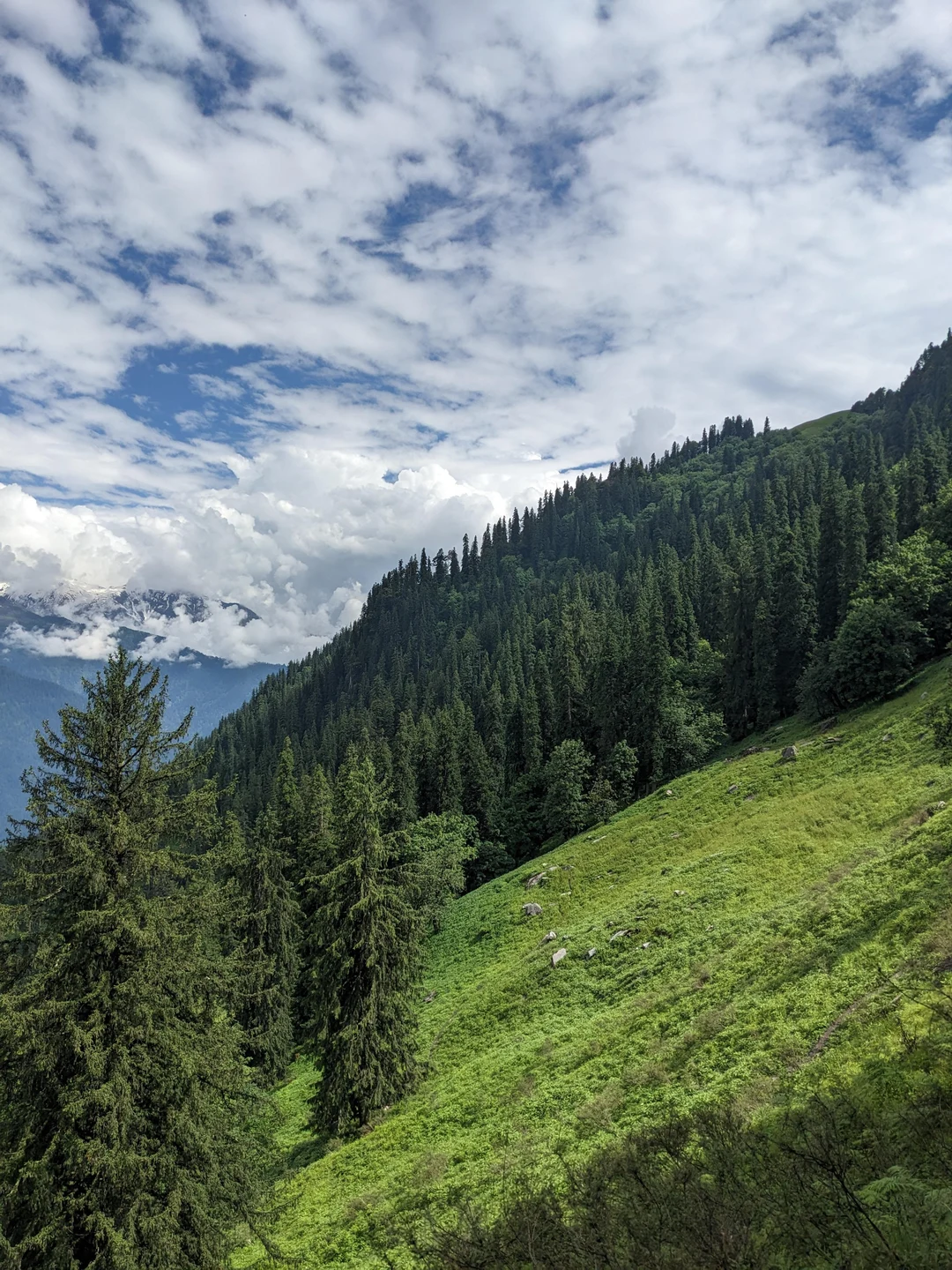 Himalayan mountains, Himachal Pradesh, India [3024x4032][OC] | Scrolller