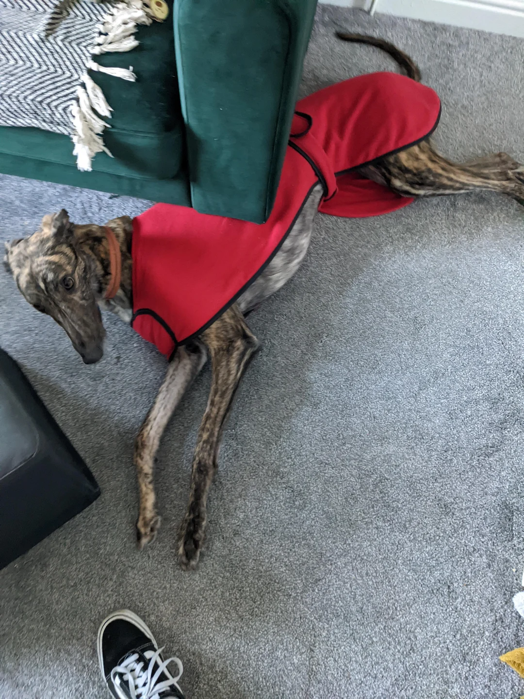 mum help I'm trapped under the sofa 😮‍💨🤣 | Scrolller