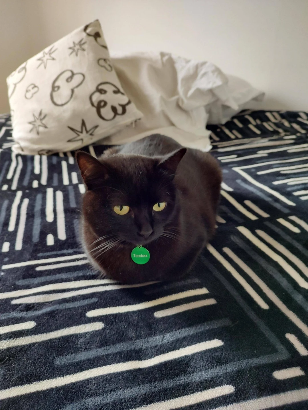 Void loaf | Scrolller