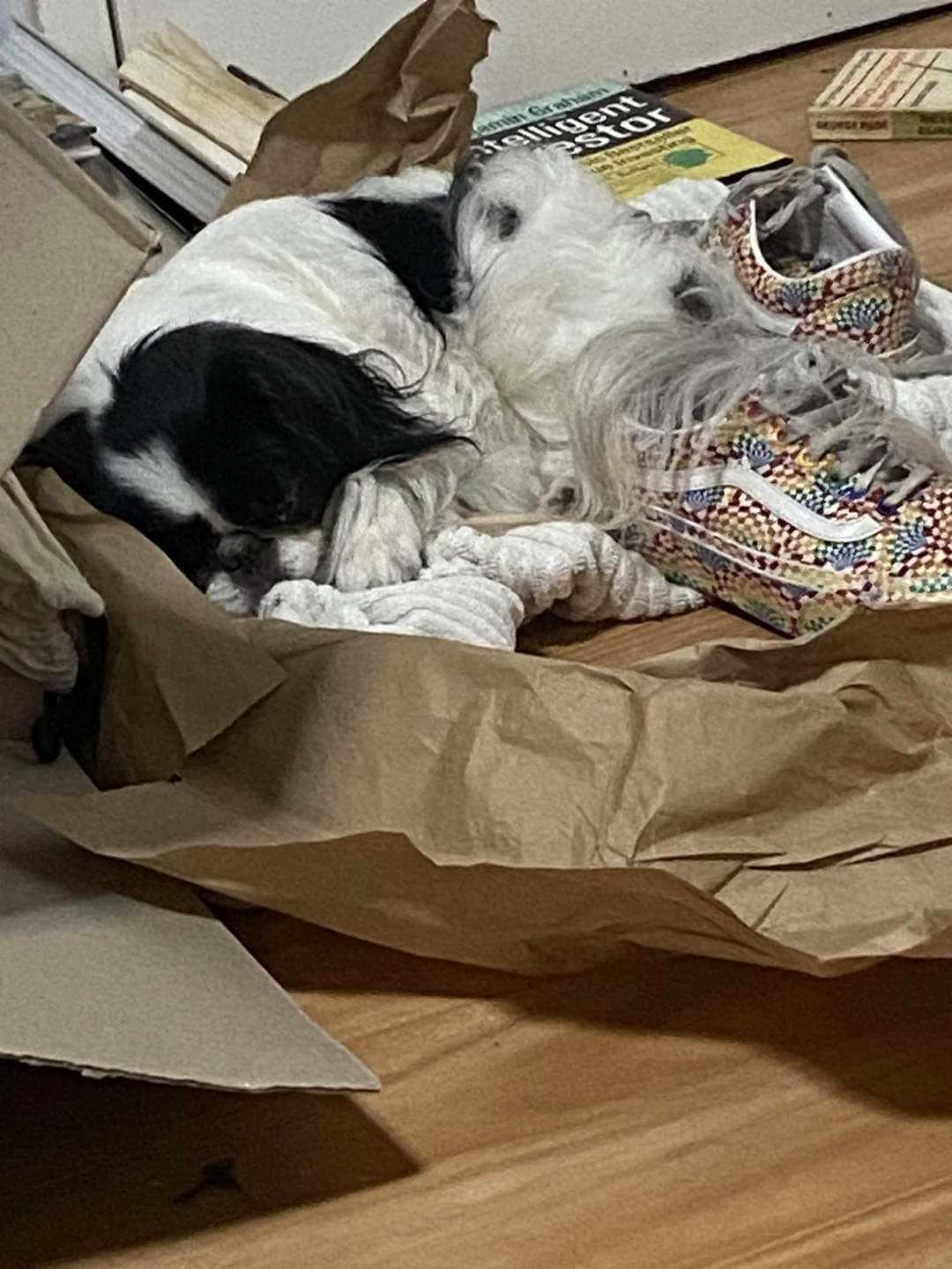 The nesting habits of the domestic chin are quite extraordinary. | Scrolller