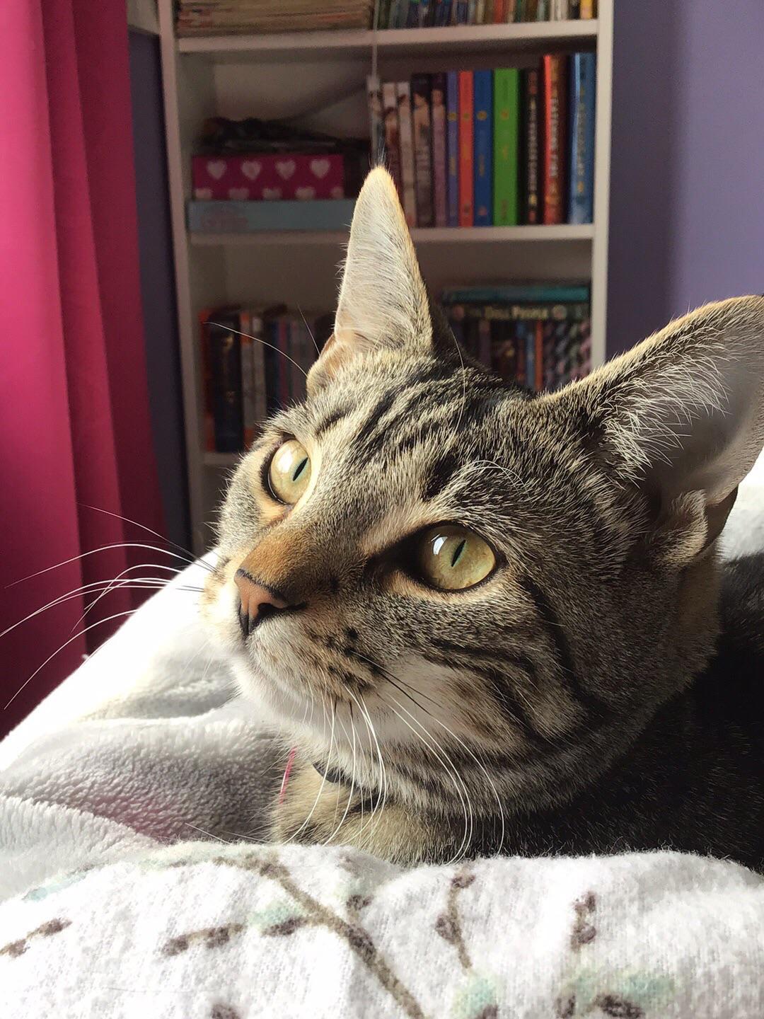 Pretty little Peanut 🥰 | Scrolller