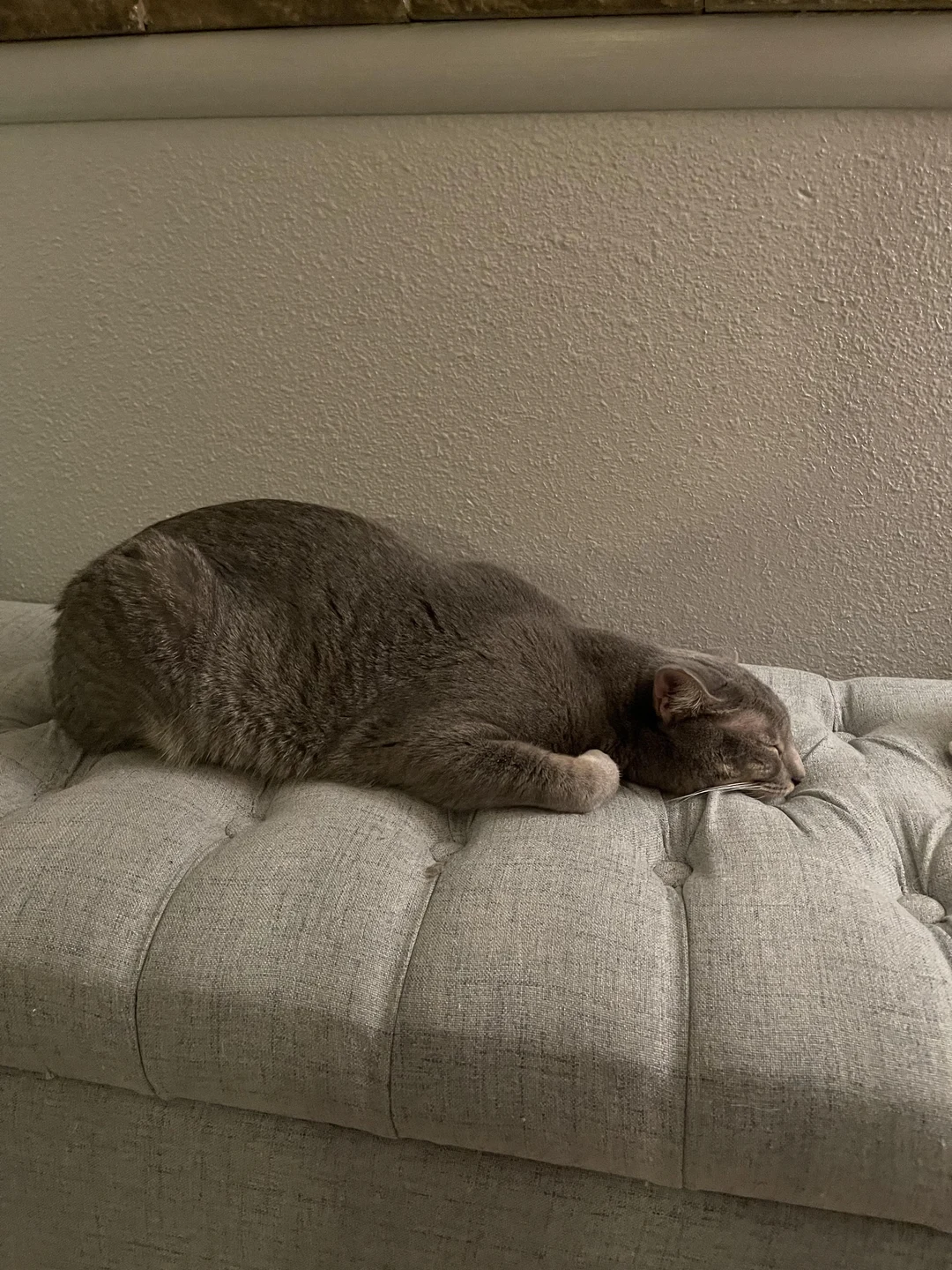 Hit the ‘nip a little too hard. Uneven and lumpy. 3/10. Bad loaf, might need to toss it | Scrolller