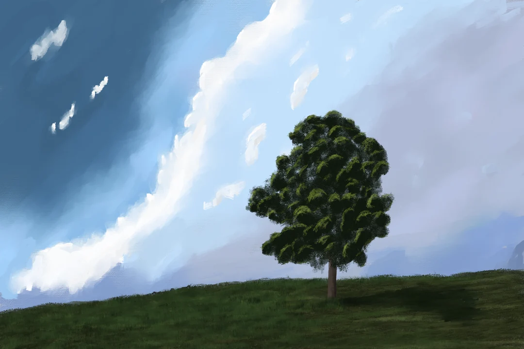 tree study, me, digital, 2023 | Scrolller