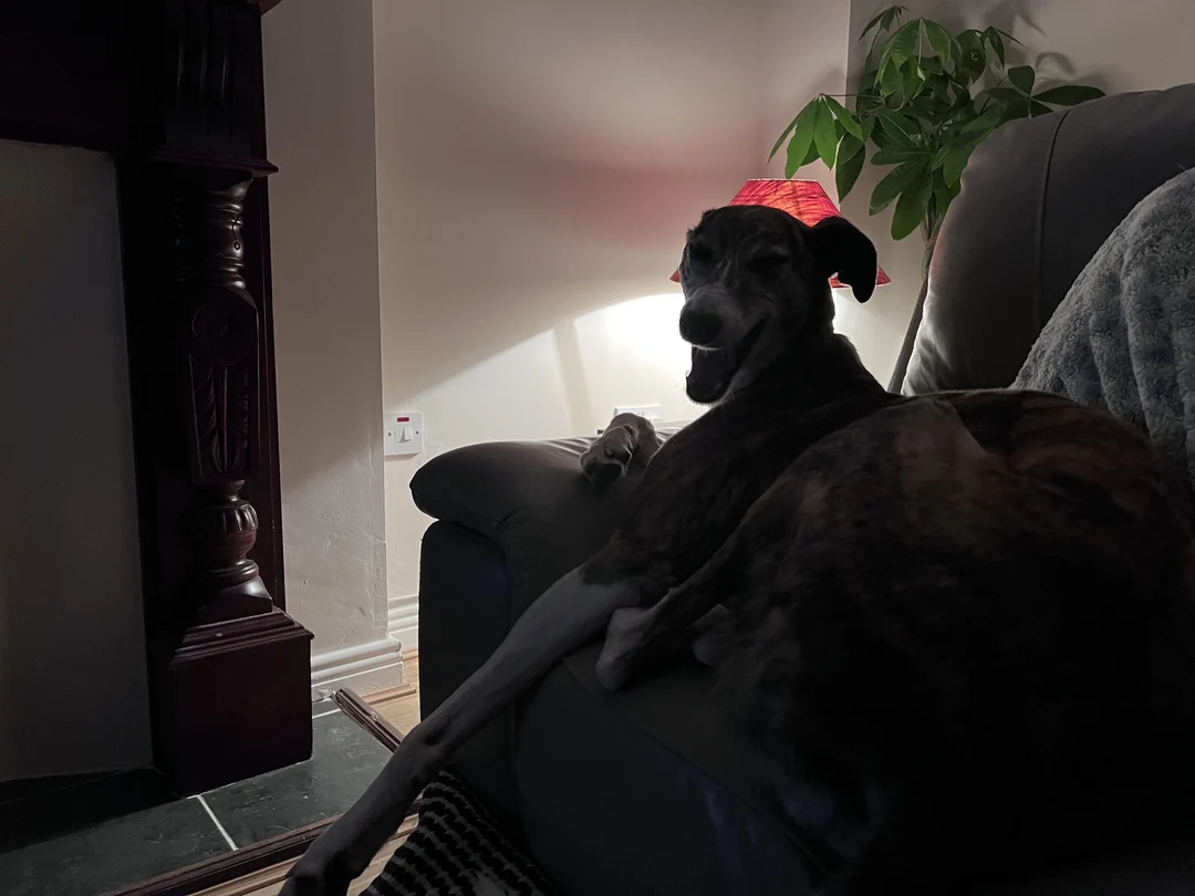 Just chilling | Scrolller