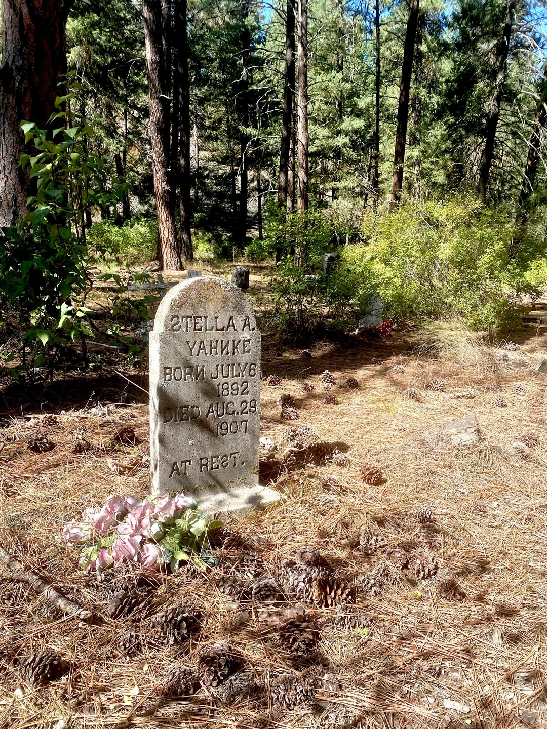 Spokane natural burial ground | Scrolller