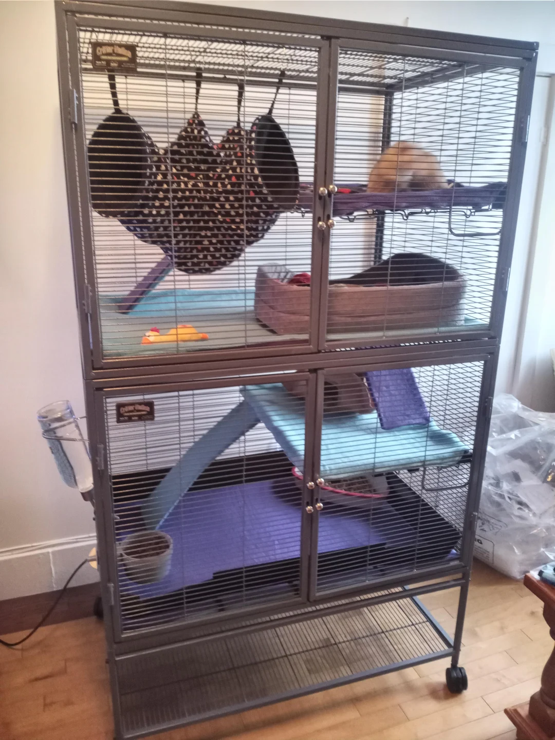 Cage upgrade for Nebula | Scrolller