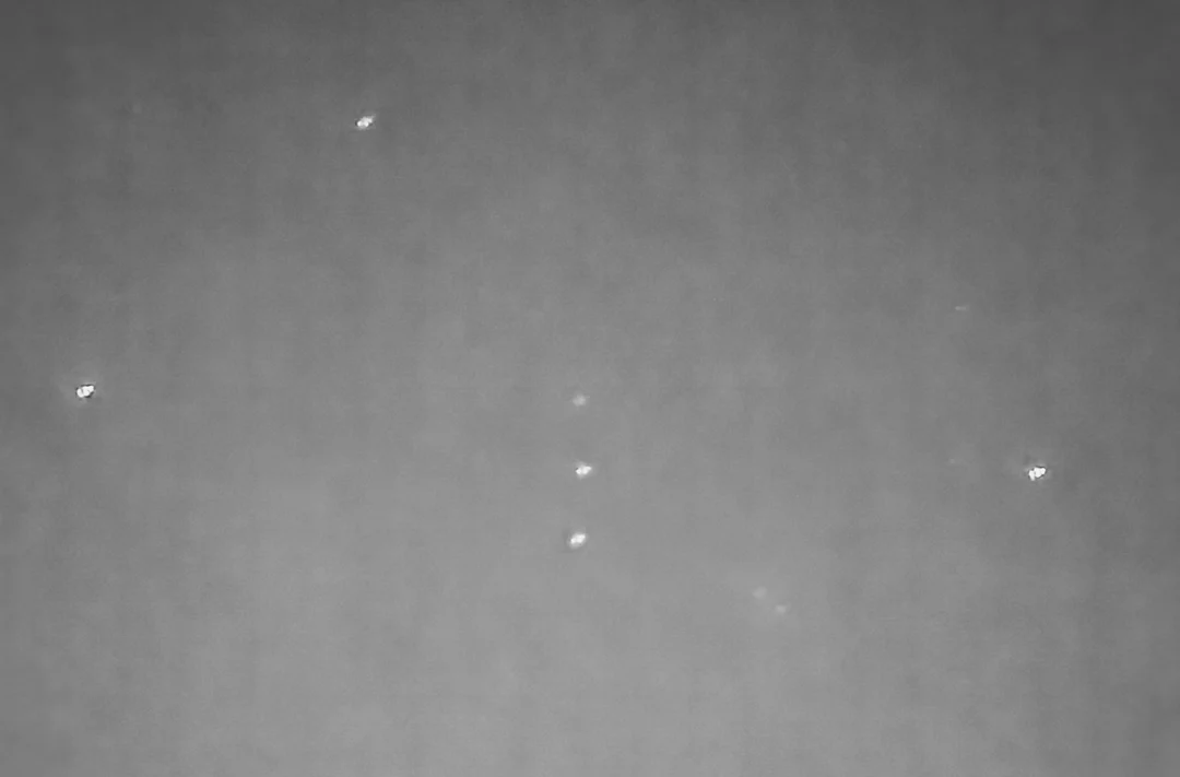 Orion constellation. Not the best one out there. Uploading it as I captured it on phone | Scrolller