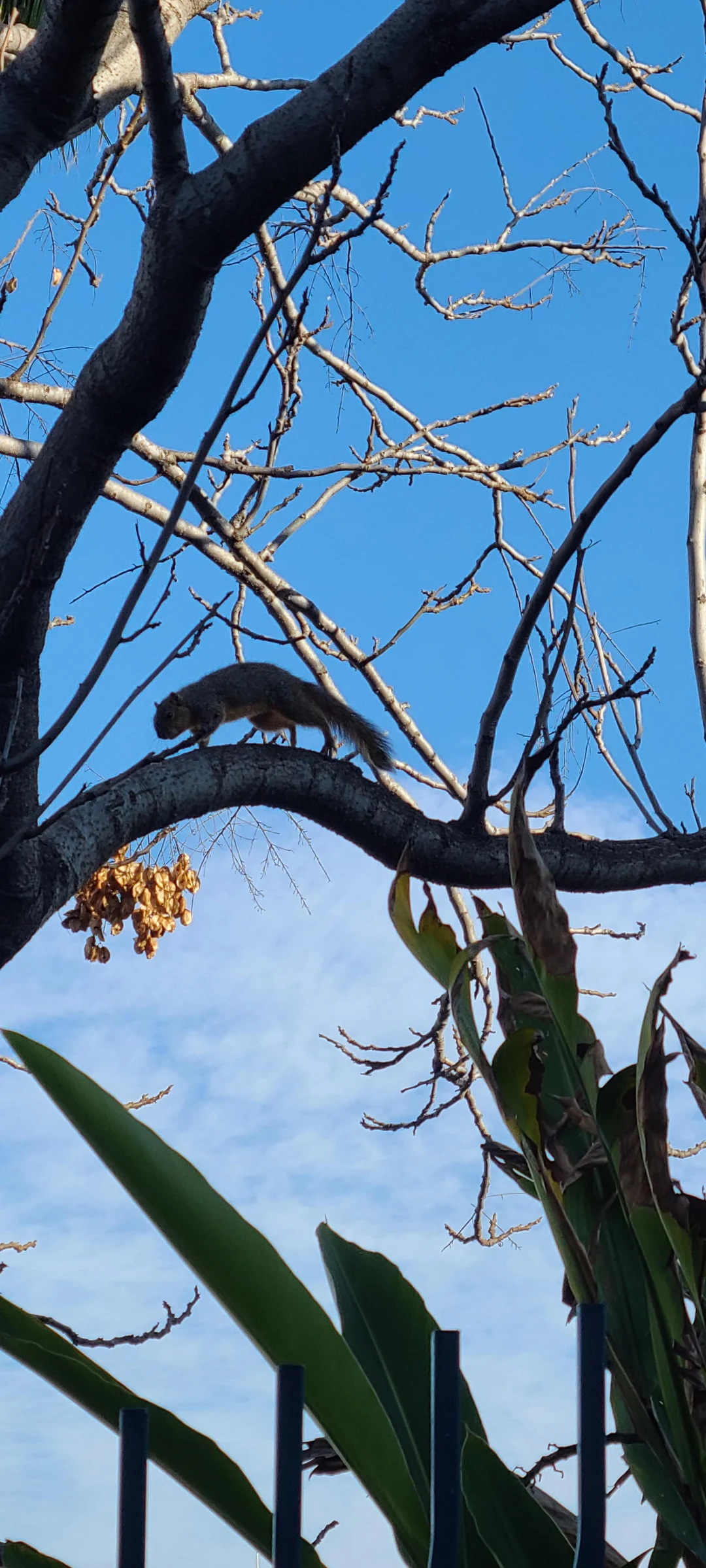 I FOUND THE SHOOTER | Scrolller