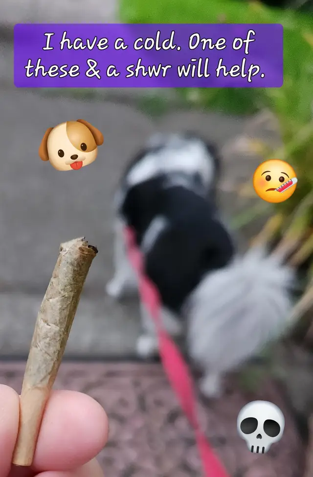 Wanna get high? | Scrolller