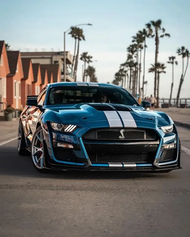 2020 Ford Mustang Shelby GT500 [1080x1349] | Scrolller