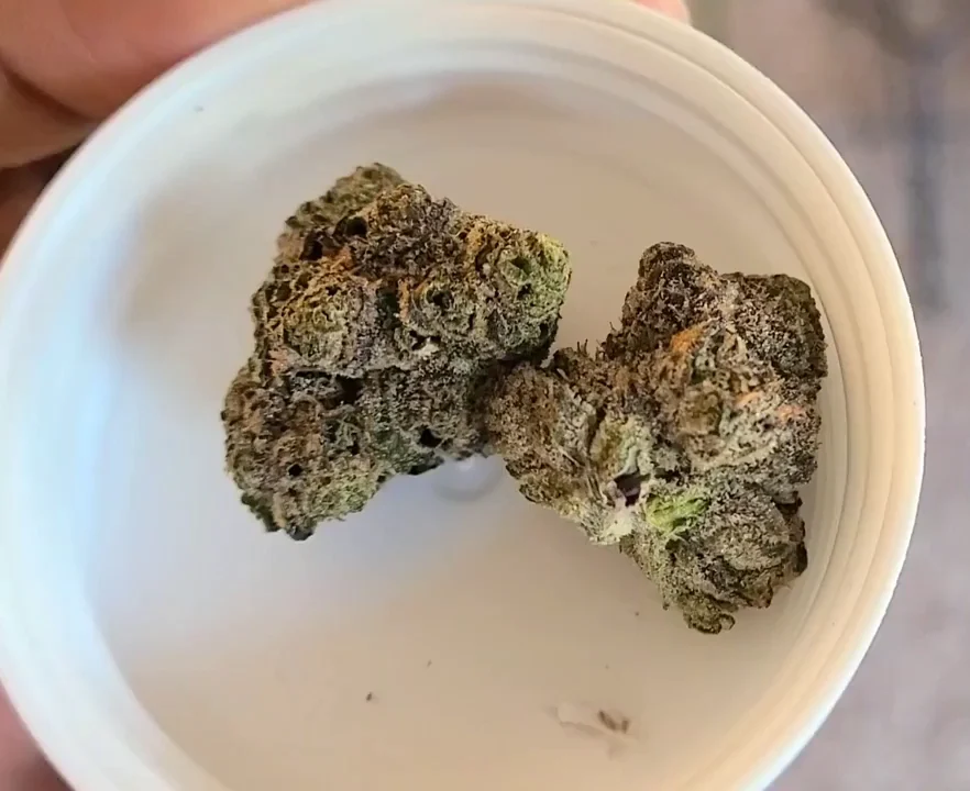 Strain: Hashburger 😍 | Scrolller