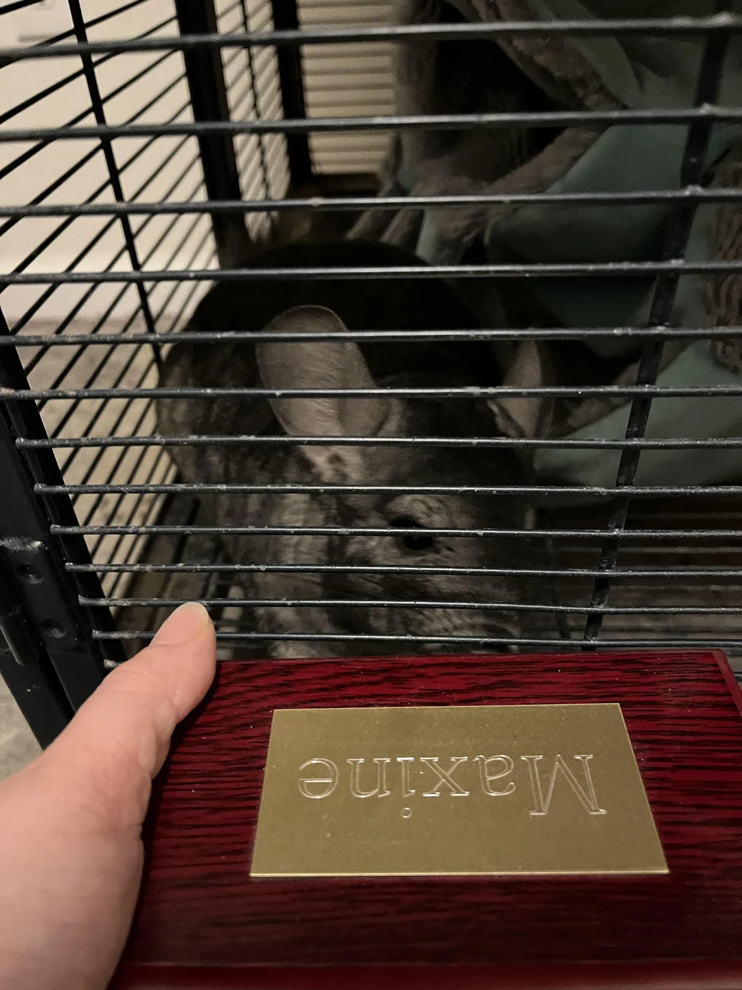 Year since her passing | Scrolller