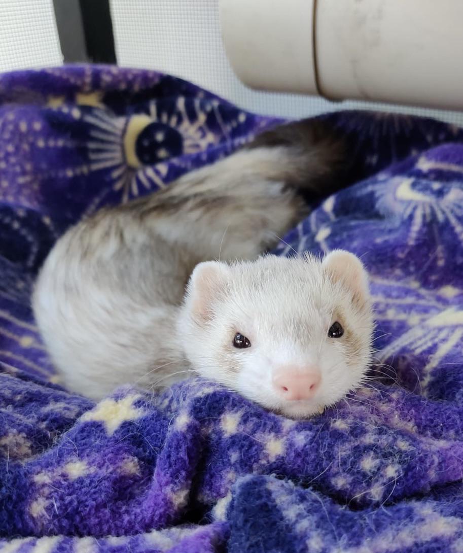 Cozy noodle | Scrolller