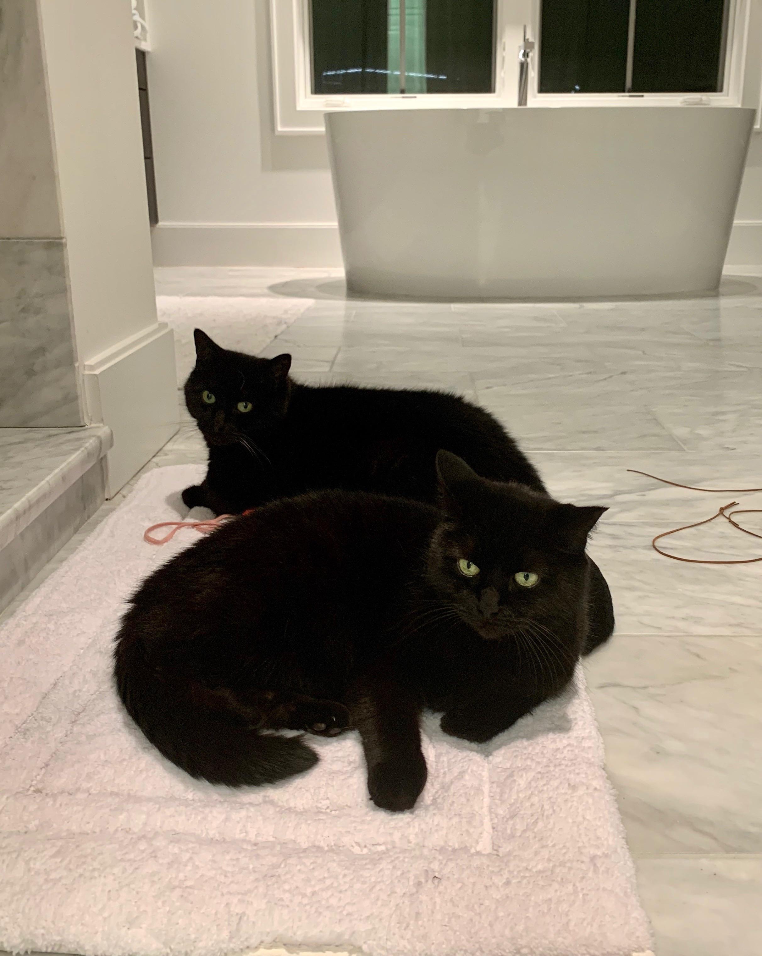 Double void | Scrolller