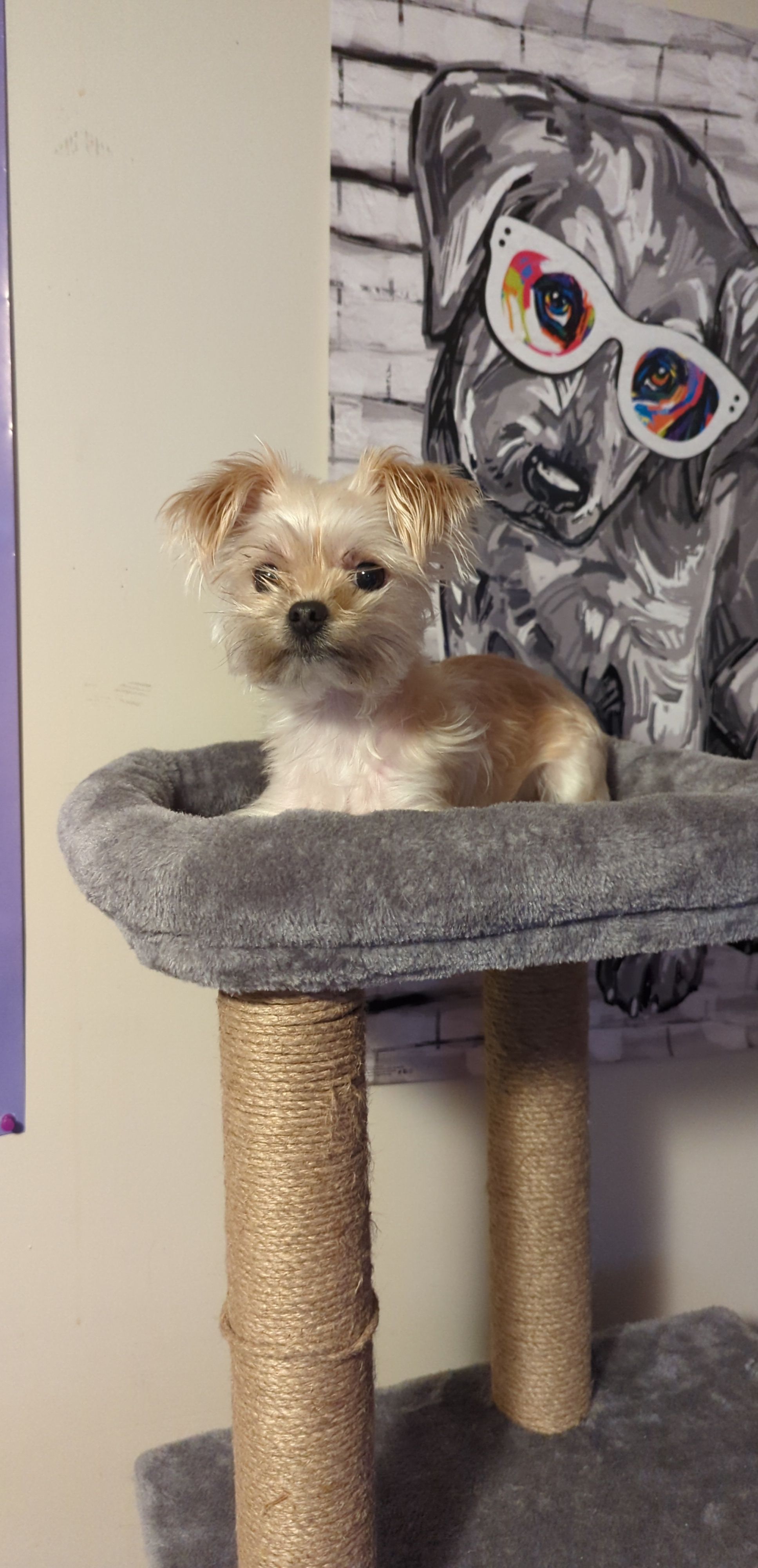 favourite photo of my pupper | Scrolller