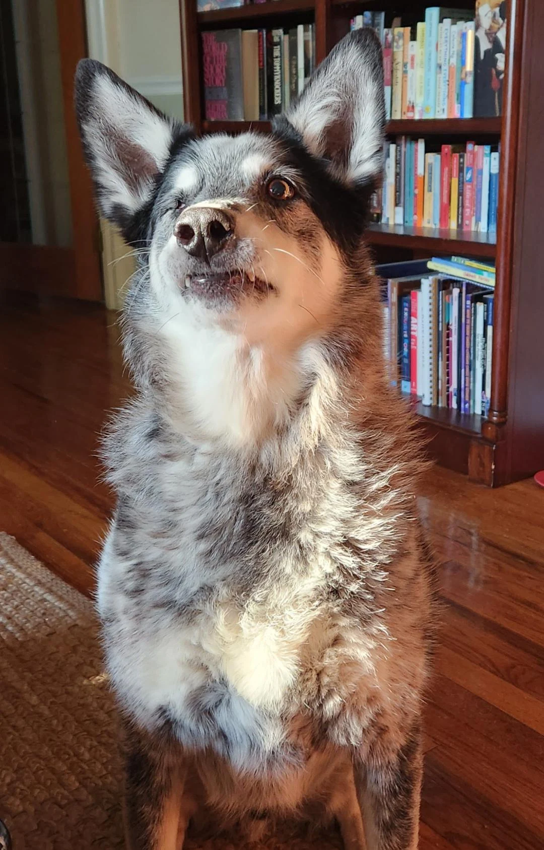 Zoom in for maximum teef | Scrolller