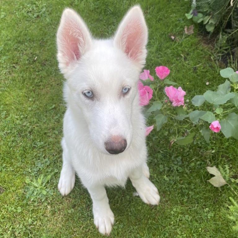 4 months vs 7 months | Scrolller