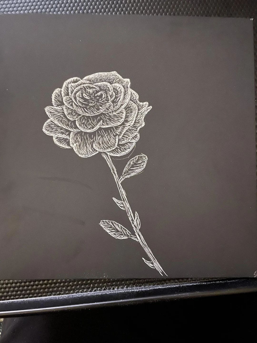 Rose, Me, Scratch board, 2023 | Scrolller