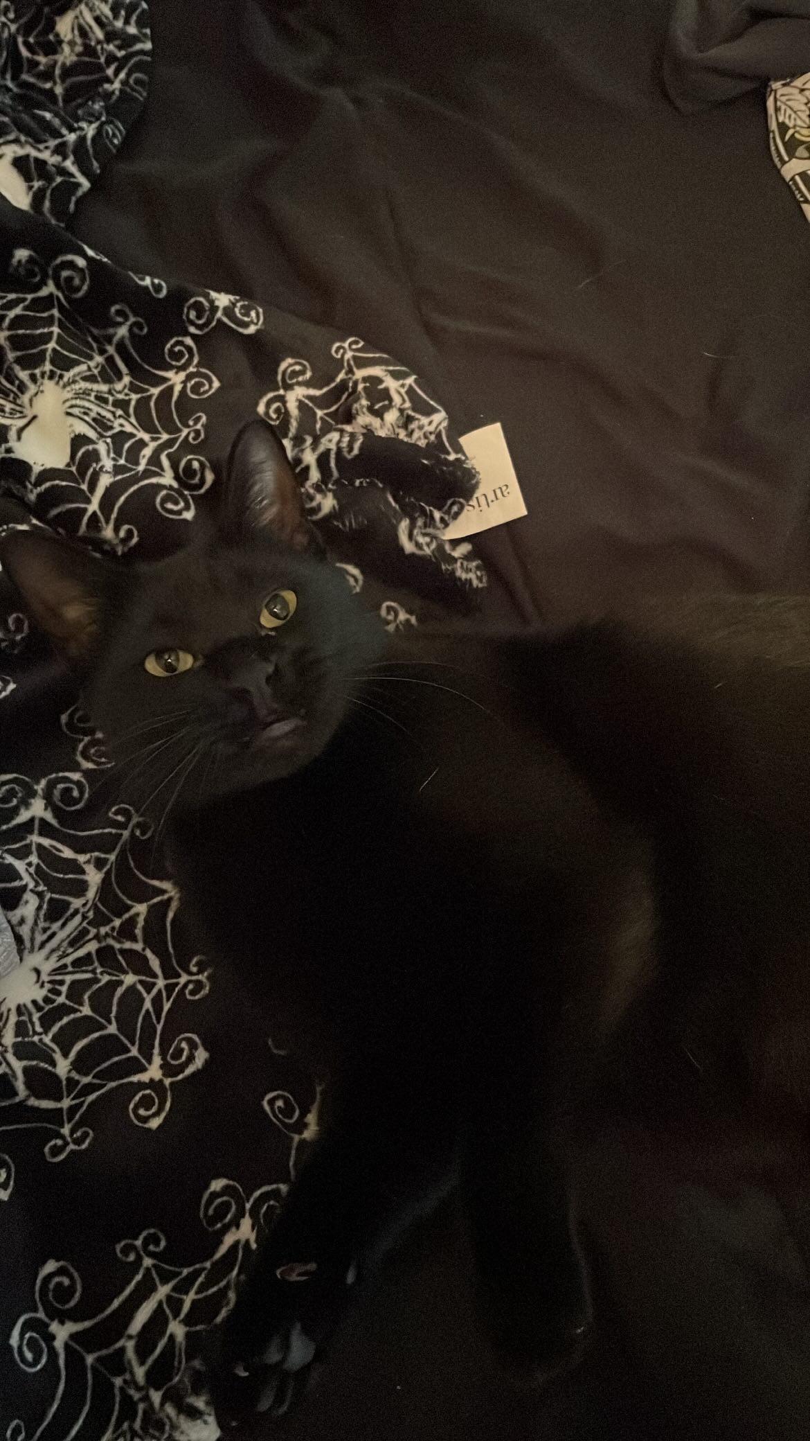 Playful void | Scrolller