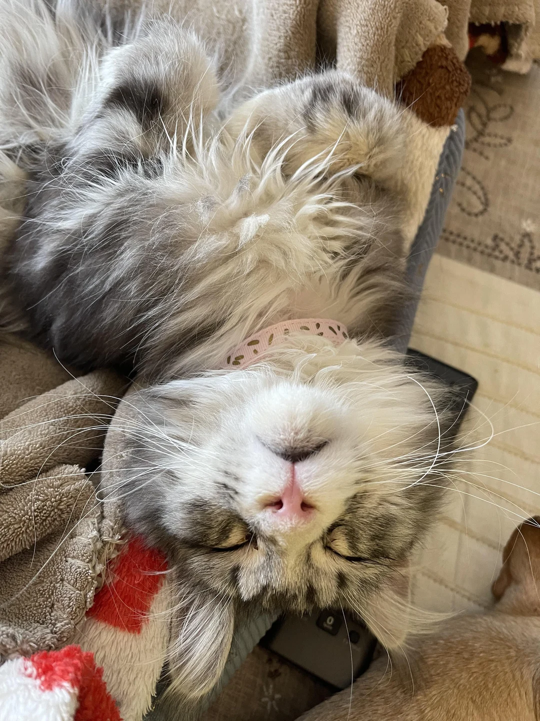 She’s sleeping. | Scrolller