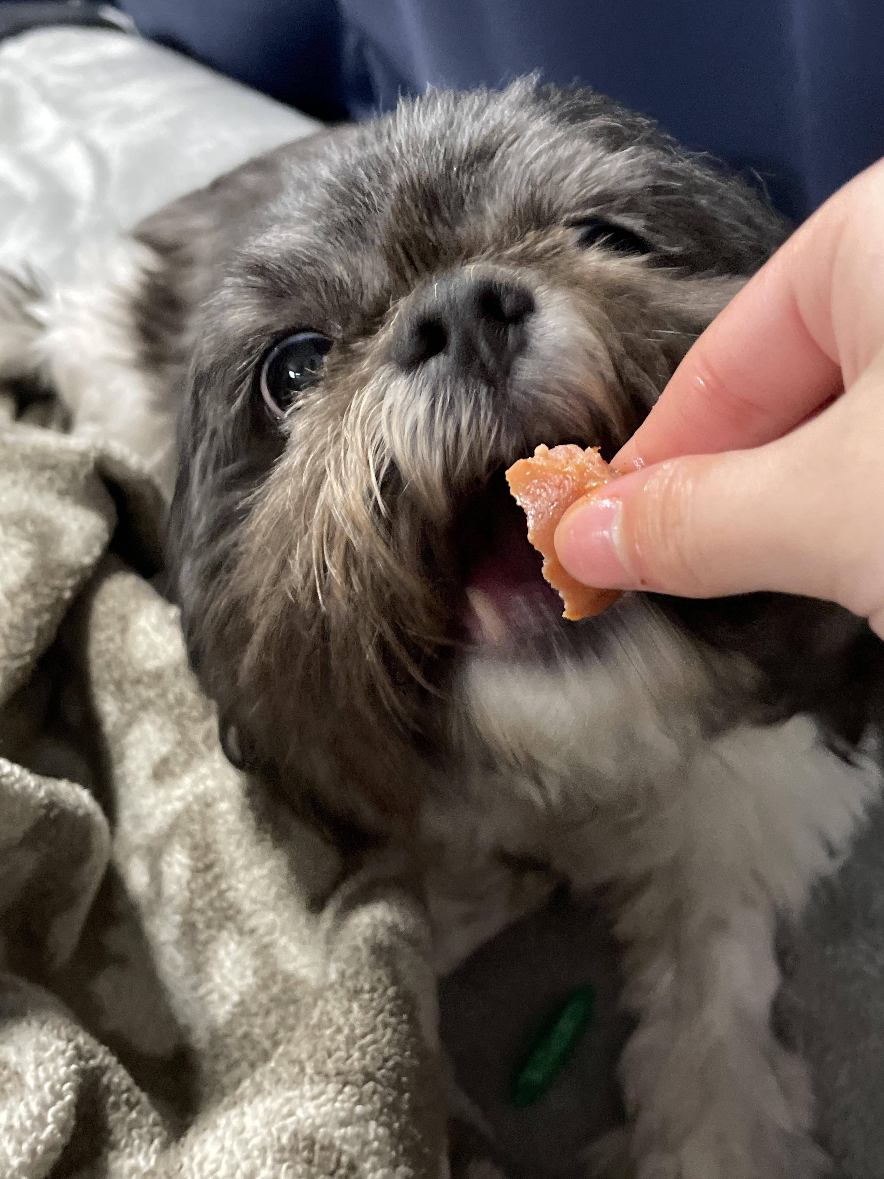 The beast | Scrolller