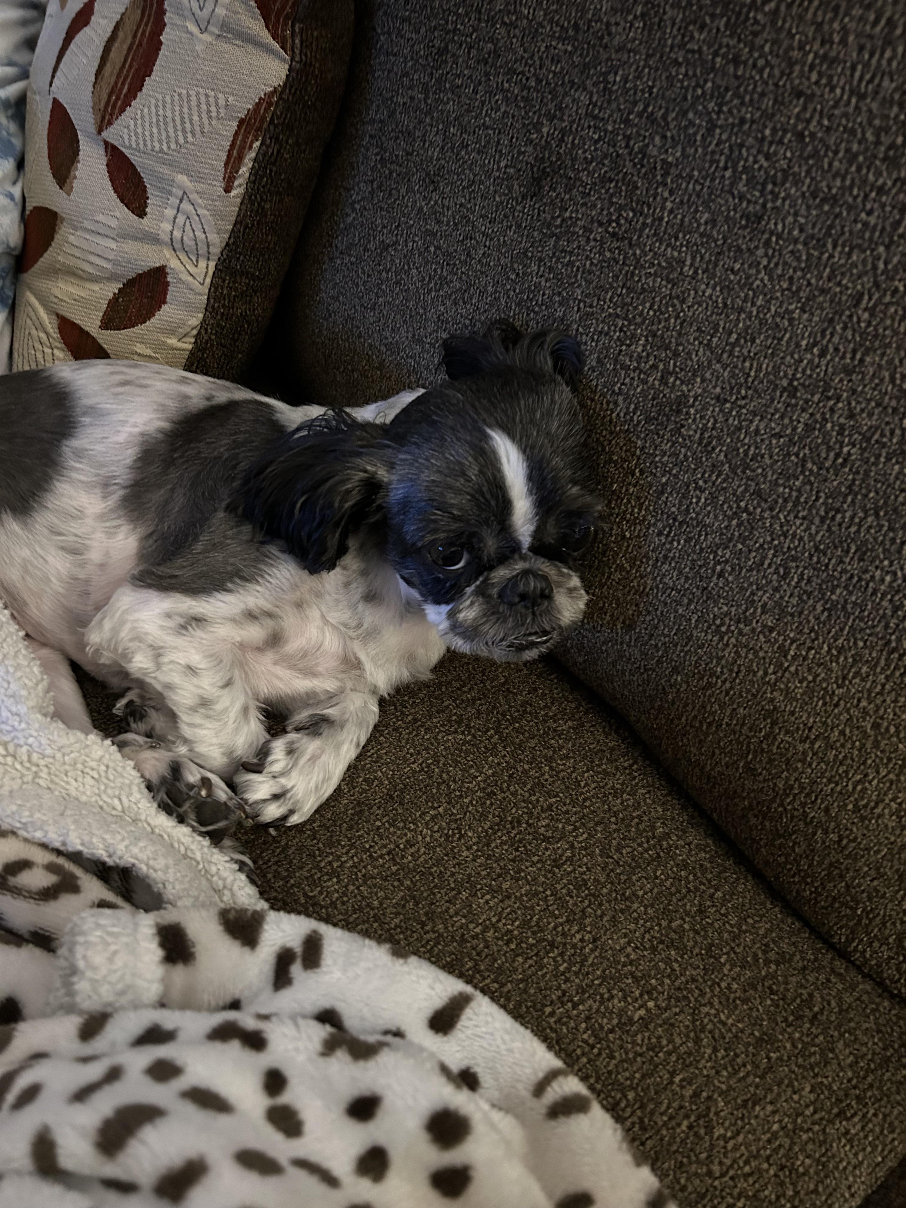 Charlotte’s face when it’s time to take her out to go potty. | Scrolller