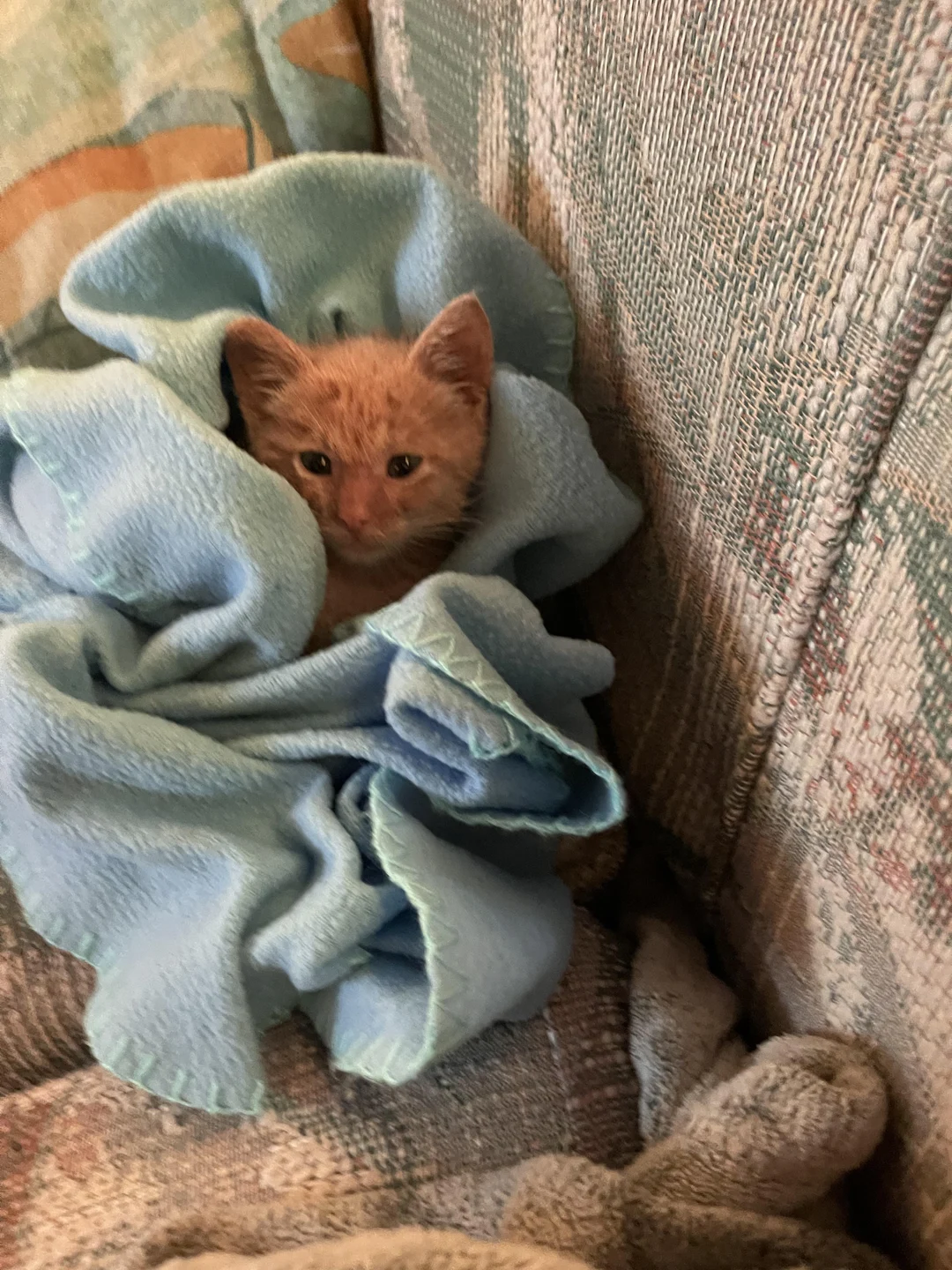 Baby Zuko | Scrolller