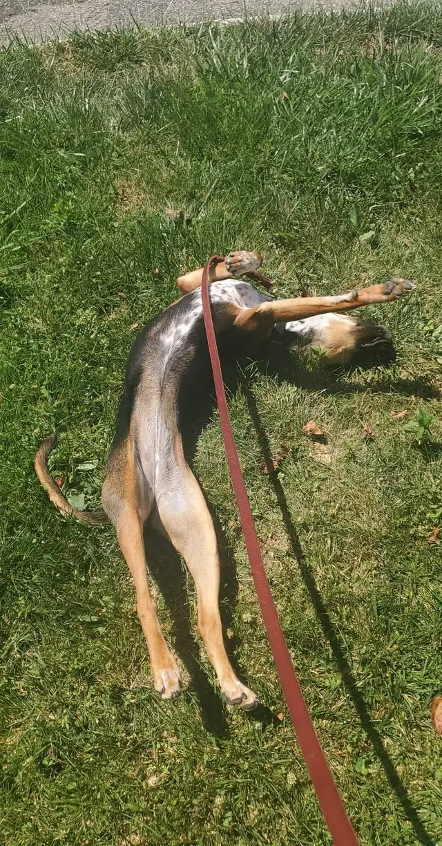 Sunbathing | Scrolller