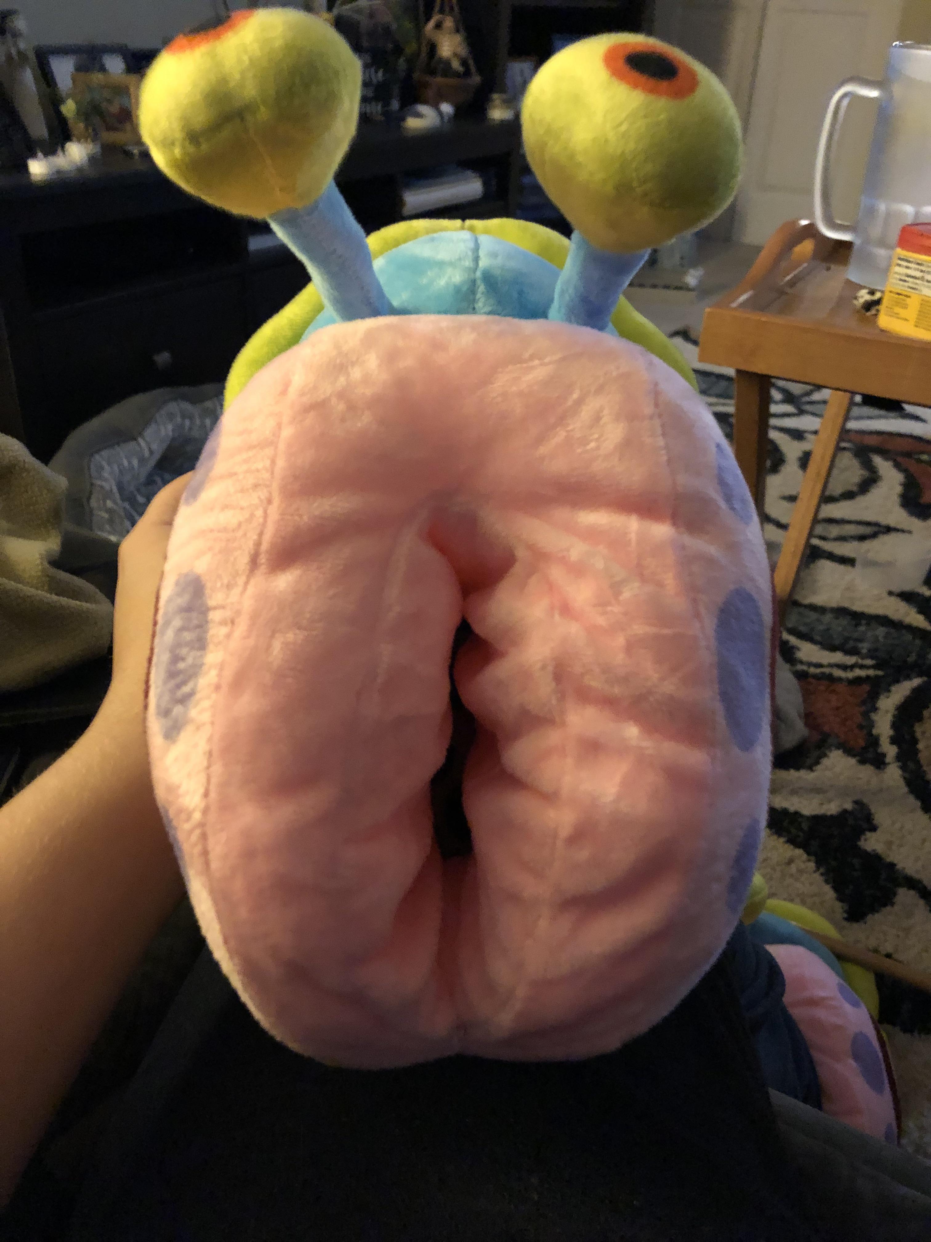 Discover more like Dontputyourdickinthat: Gary the snail slipper and Related Content | Scrolller