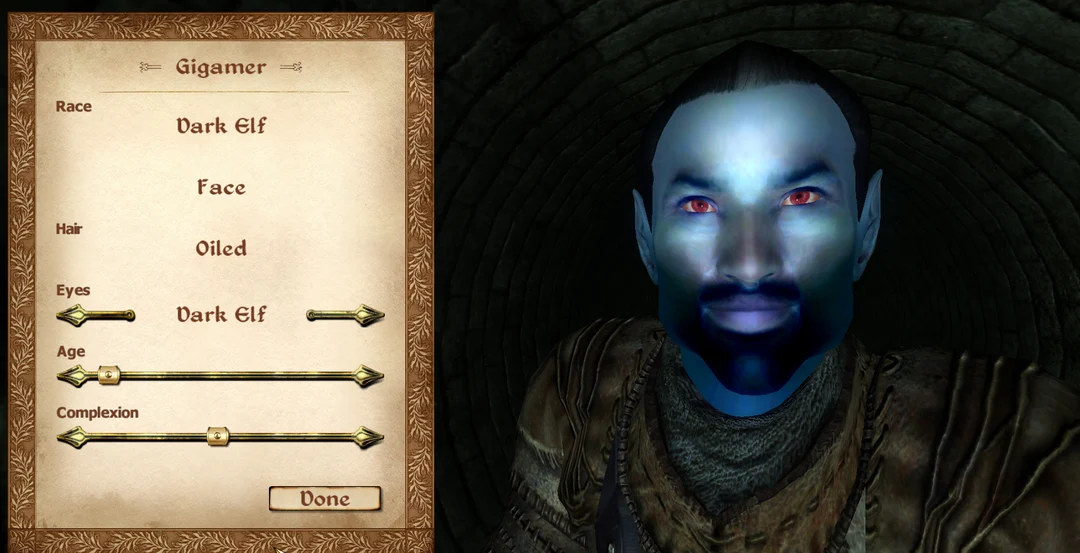 Average Oblivion Enjoyer | Scrolller