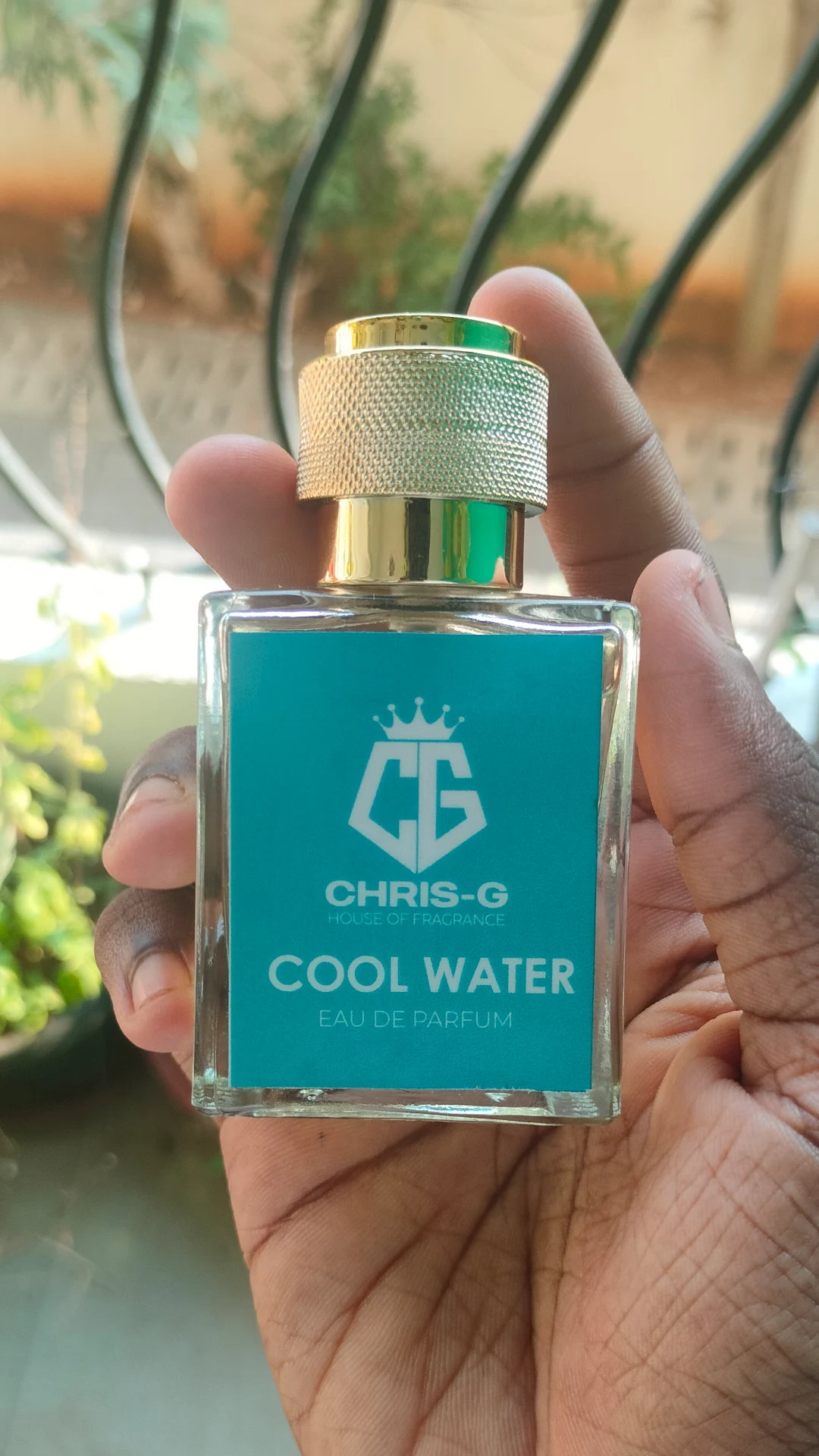 Best recreation I ever bought | Scrolller