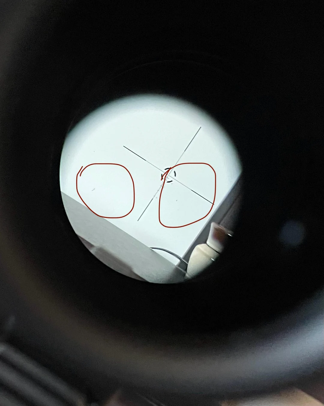 Fuzz in my scope | Scrolller