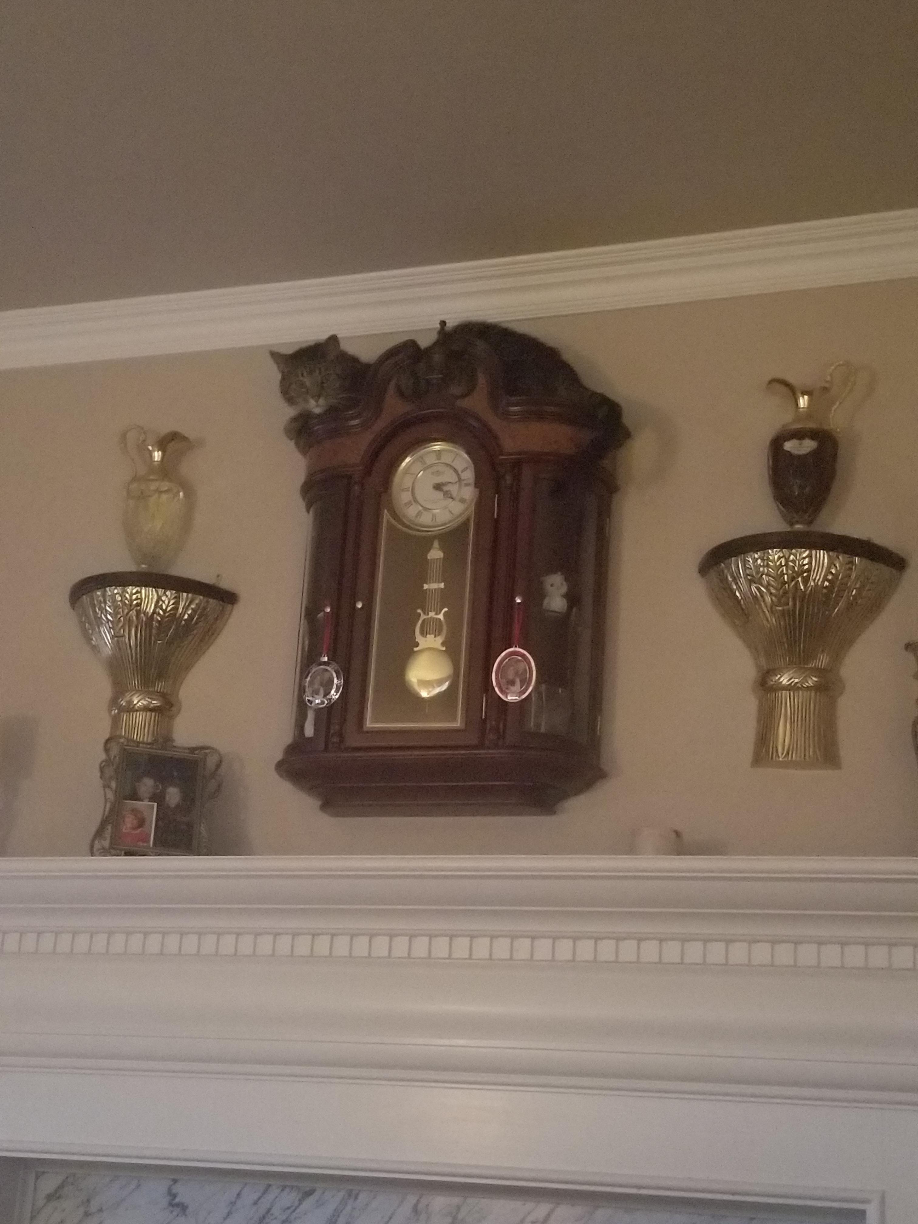 Hickory Dickory Dock... | Scrolller