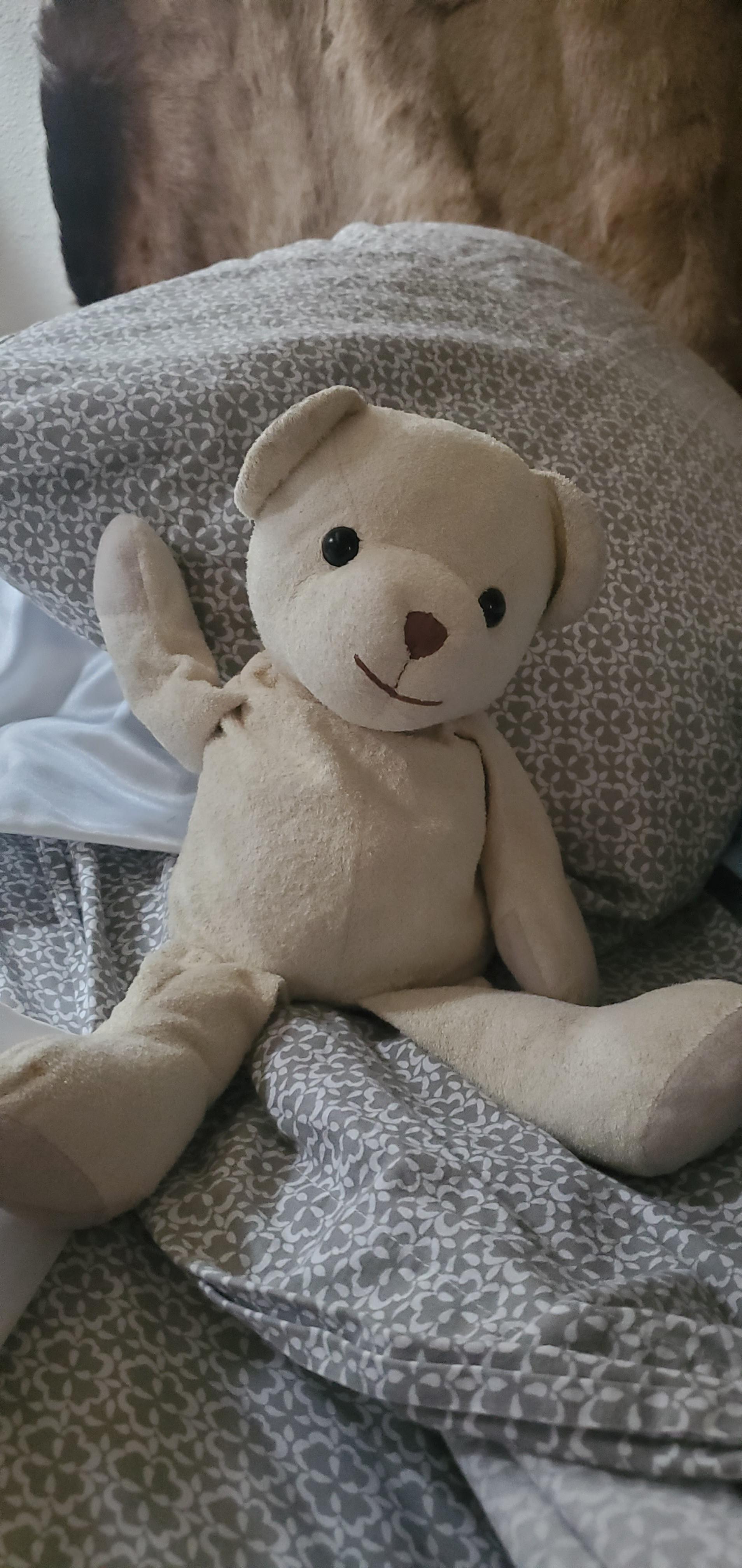 Meet Teddy, cause I often wonder... | Scrolller