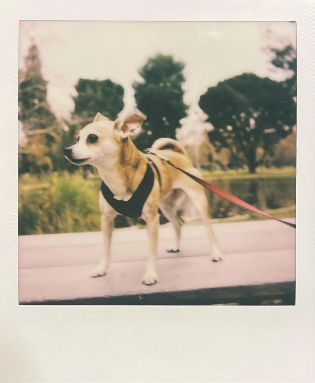 Assertiveness - OneStep+ | Scrolller