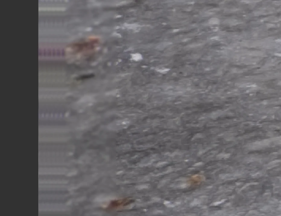 What are these Weird lines that appear on the edges of my photo in bridge? | Scrolller