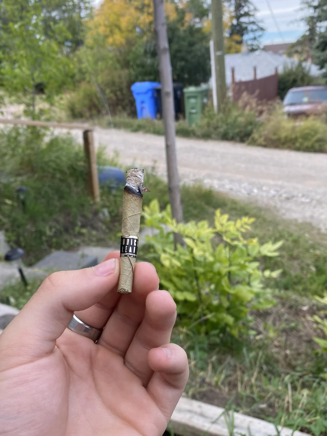 “Choice Leaf” cones are fucking amazing | Scrolller