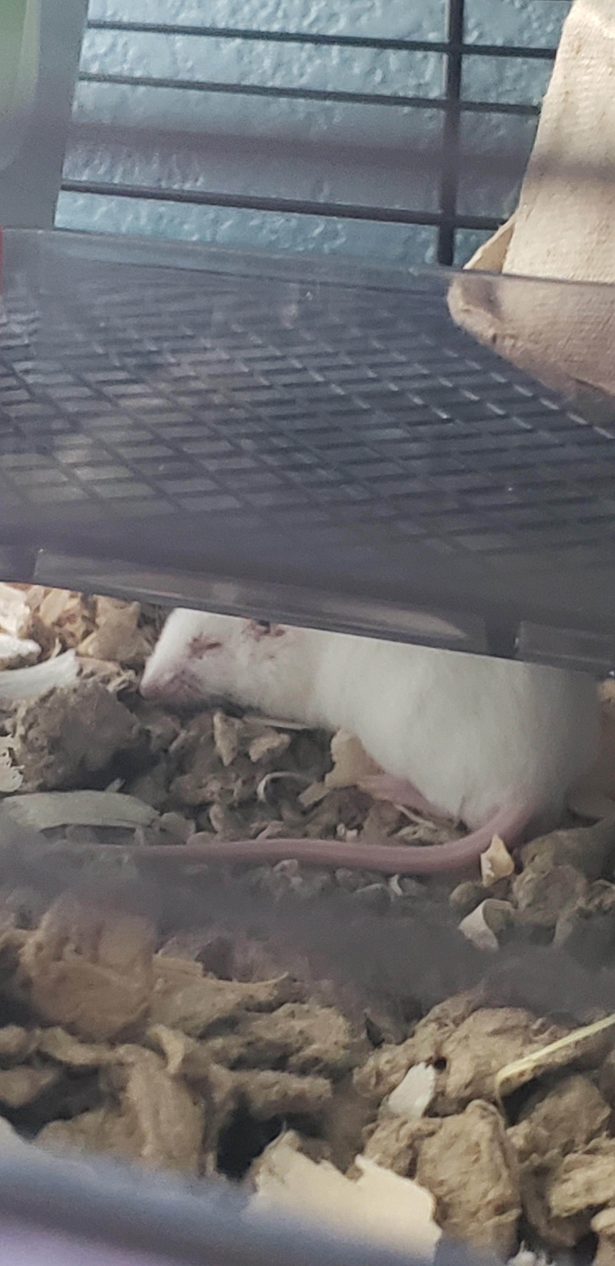 Shhh he's sleeping | Scrolller