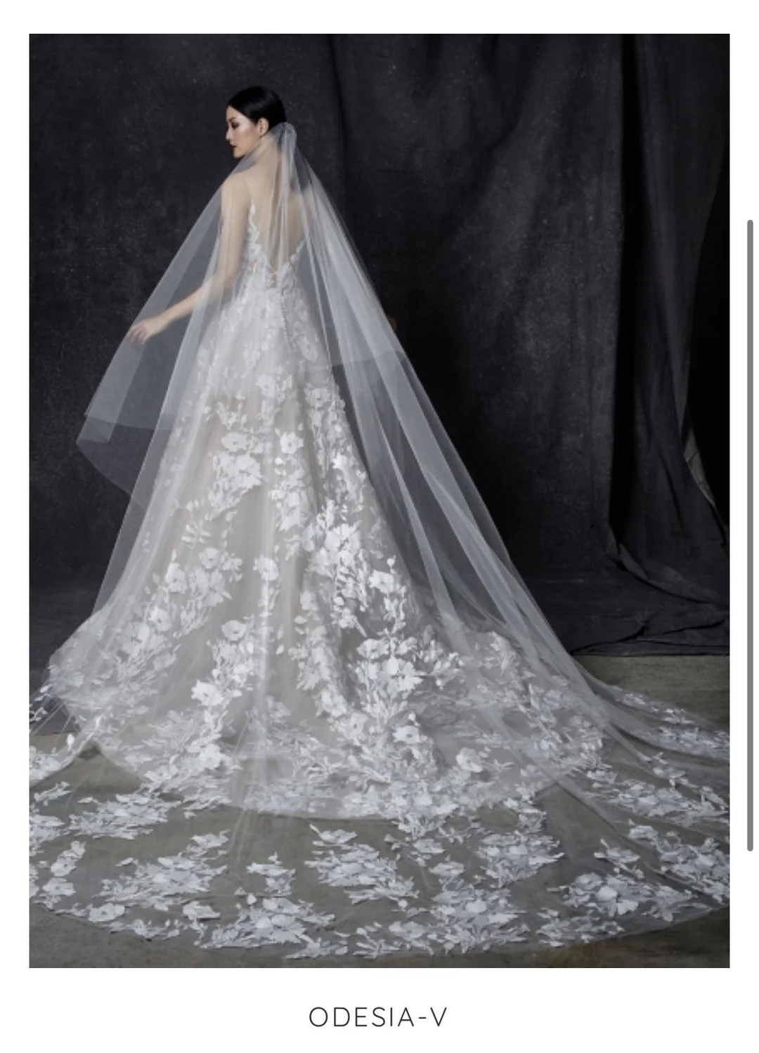 Which veil would be best? | Scrolller