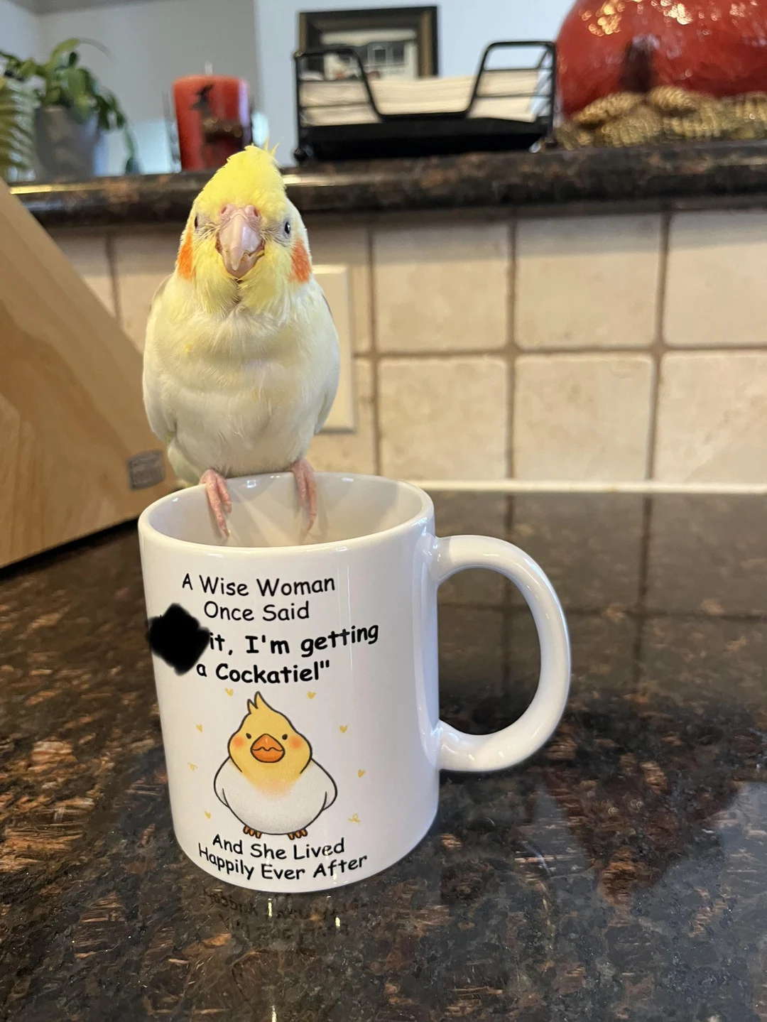 Mango Approved | Scrolller