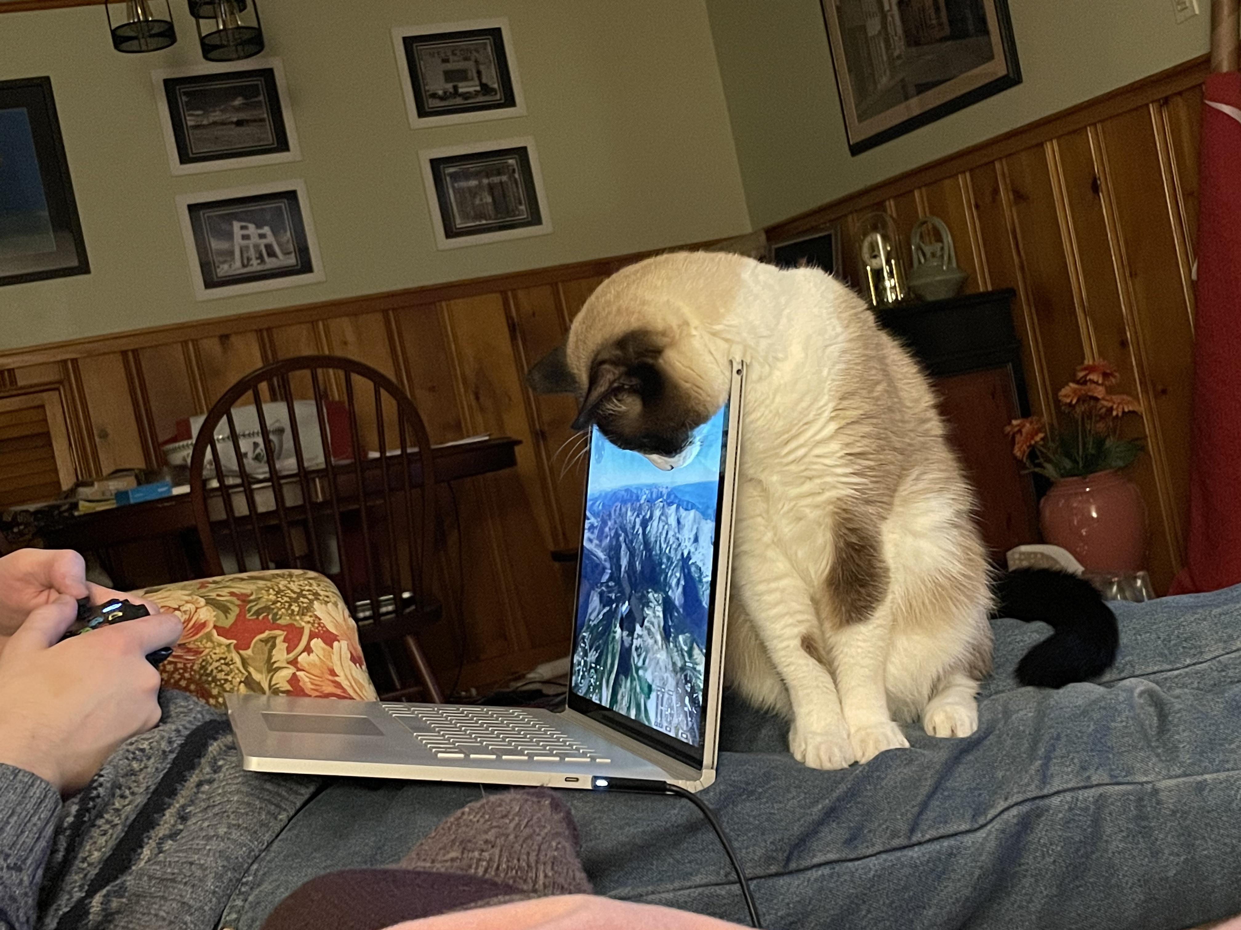 Are you almost done this game? I need the computer! | Scrolller