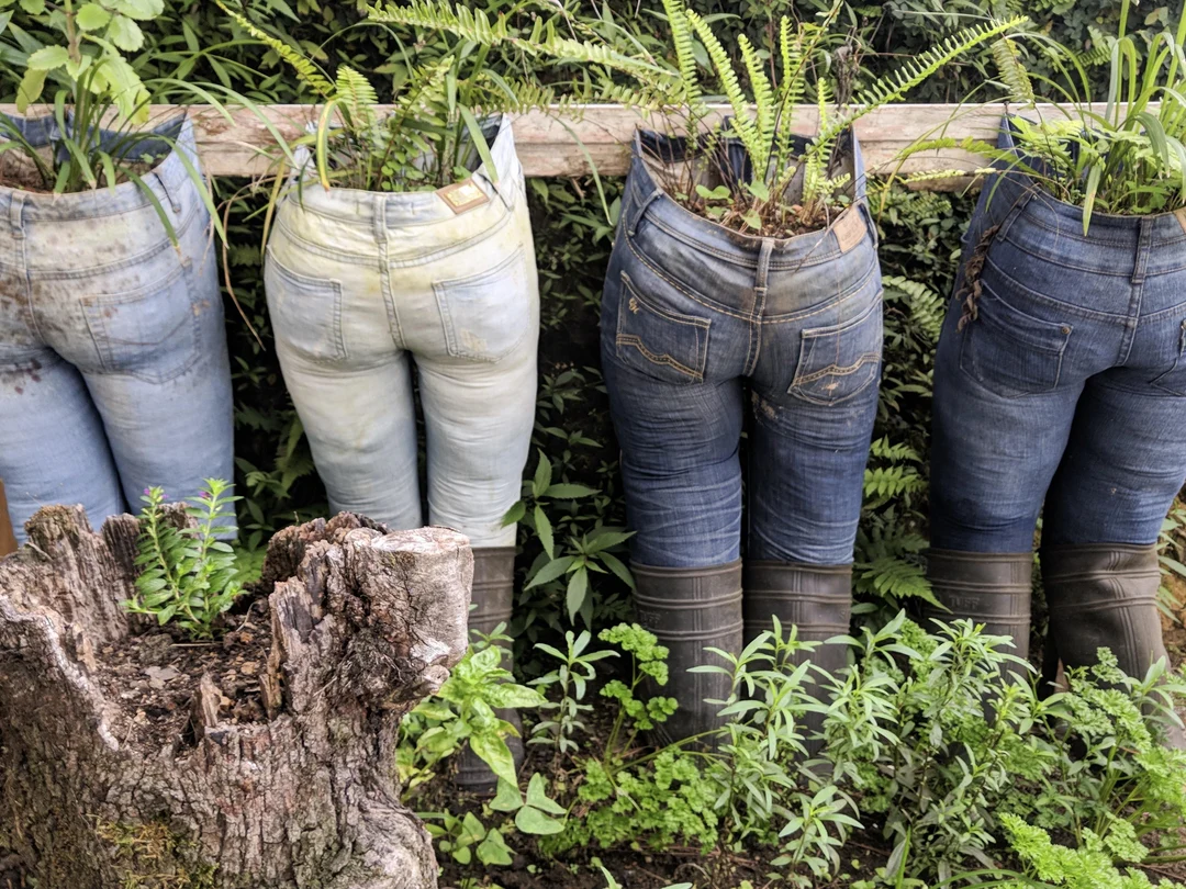 Disease awaits | Scrolller