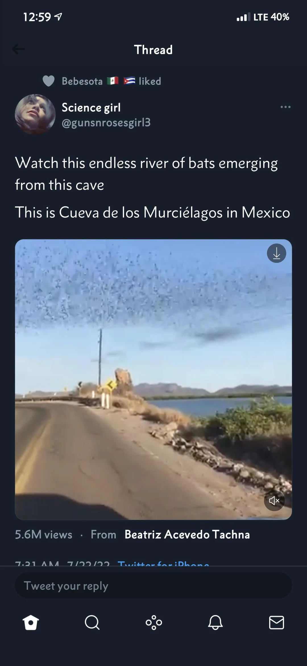 That’s a lot of bats | Scrolller