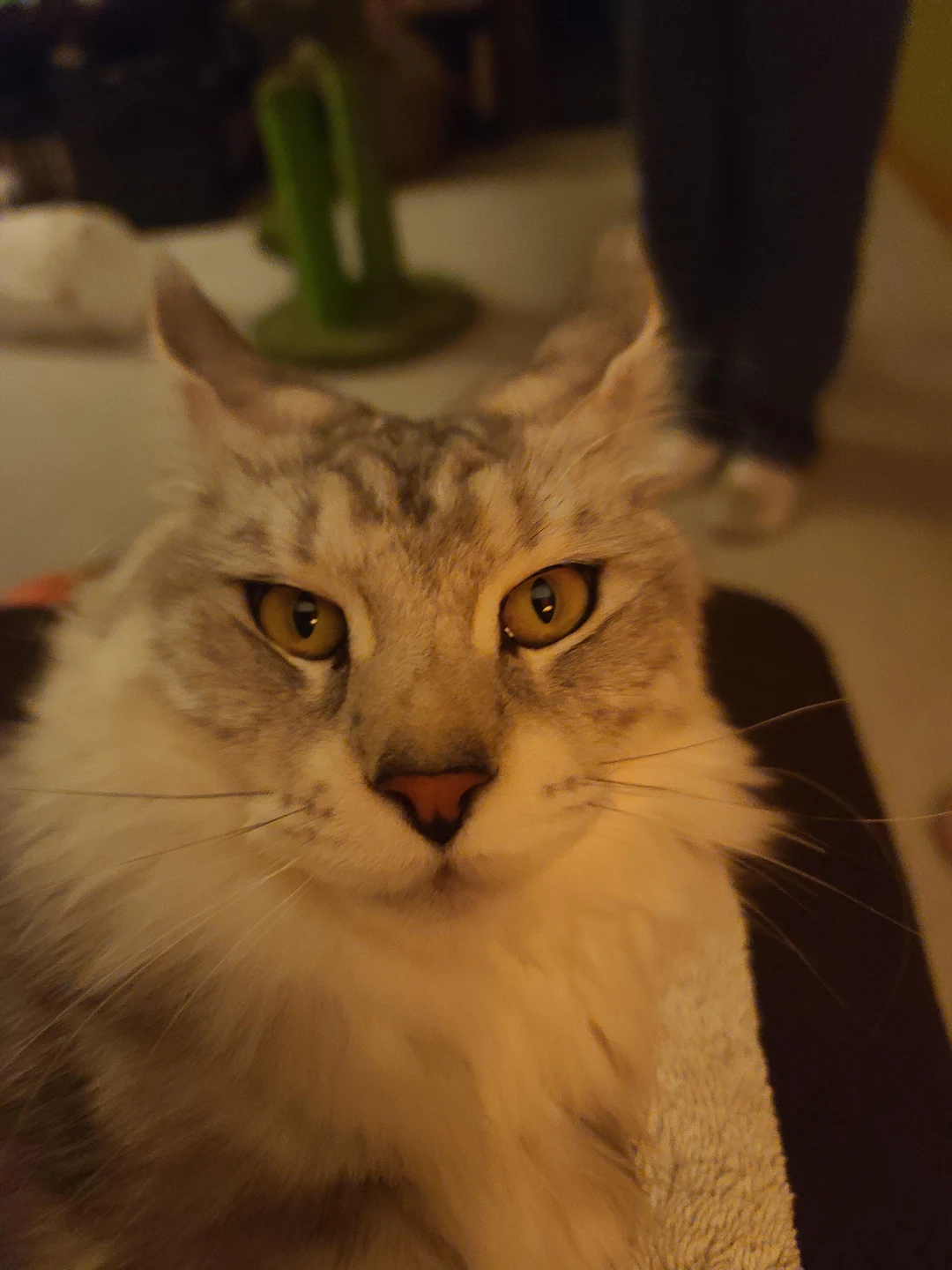 "really?" | Scrolller